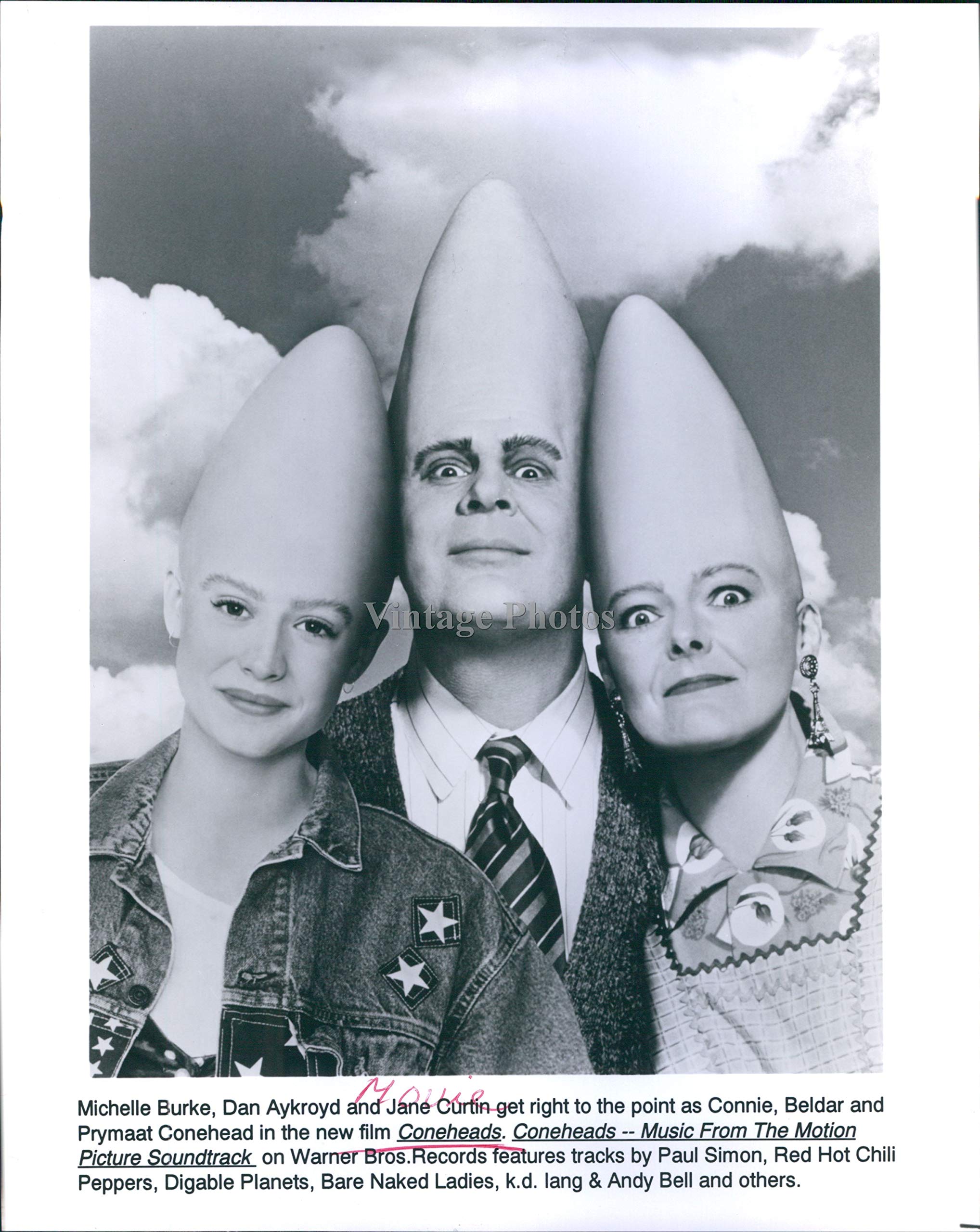 Dan Aykroyd Conehead