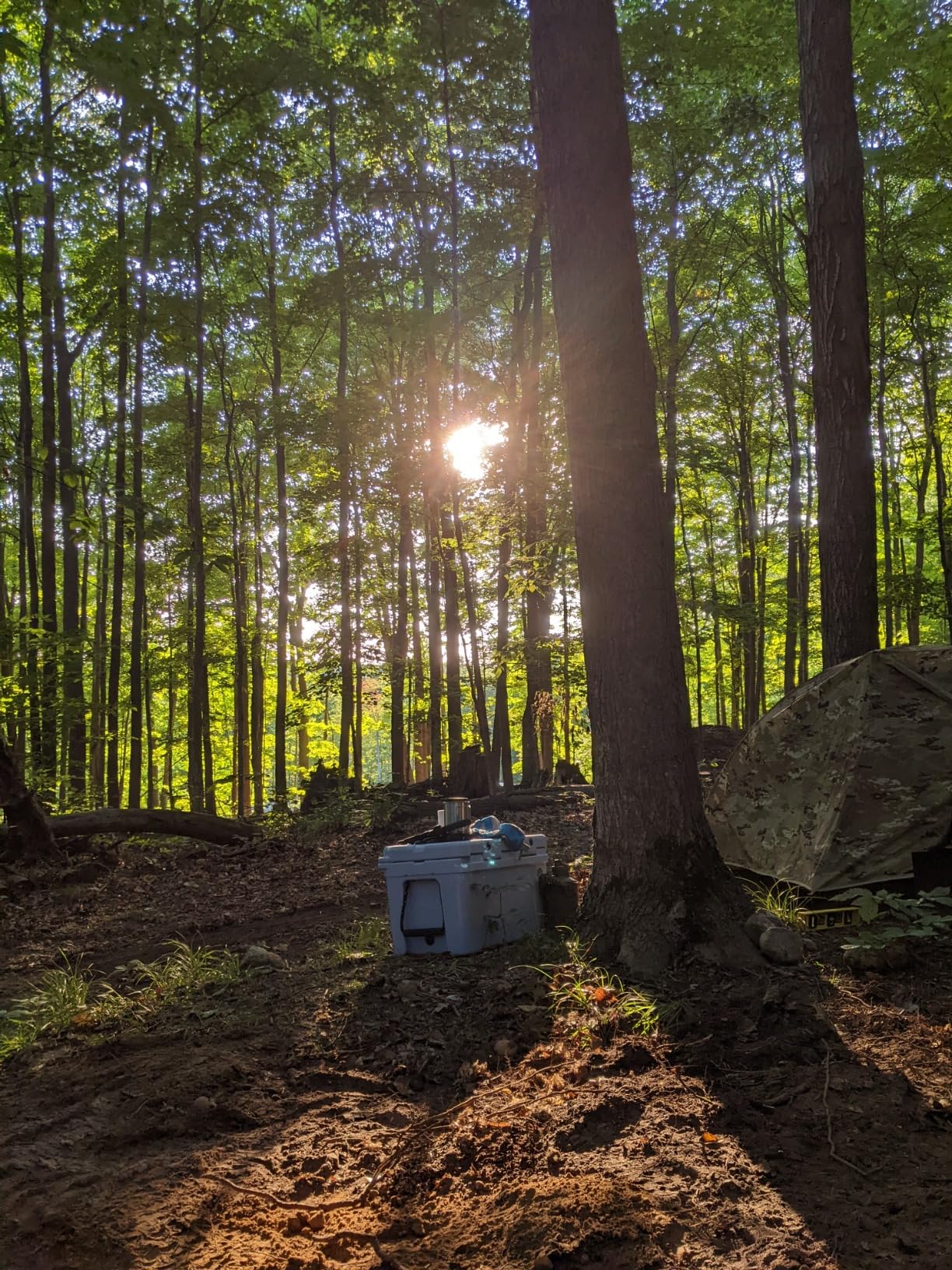 Amazon.com : ARMY OCP MULTICAM LITEFIGHTER 1 TENT w/RAINFLY ONE MAN ...