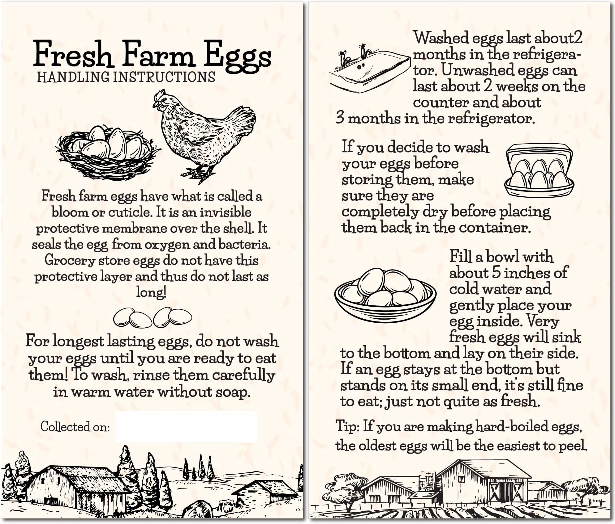 Amazon.com : 300 PCS Fresh Farm Eggs Handling Instructions Cards, 2x3.5 ...