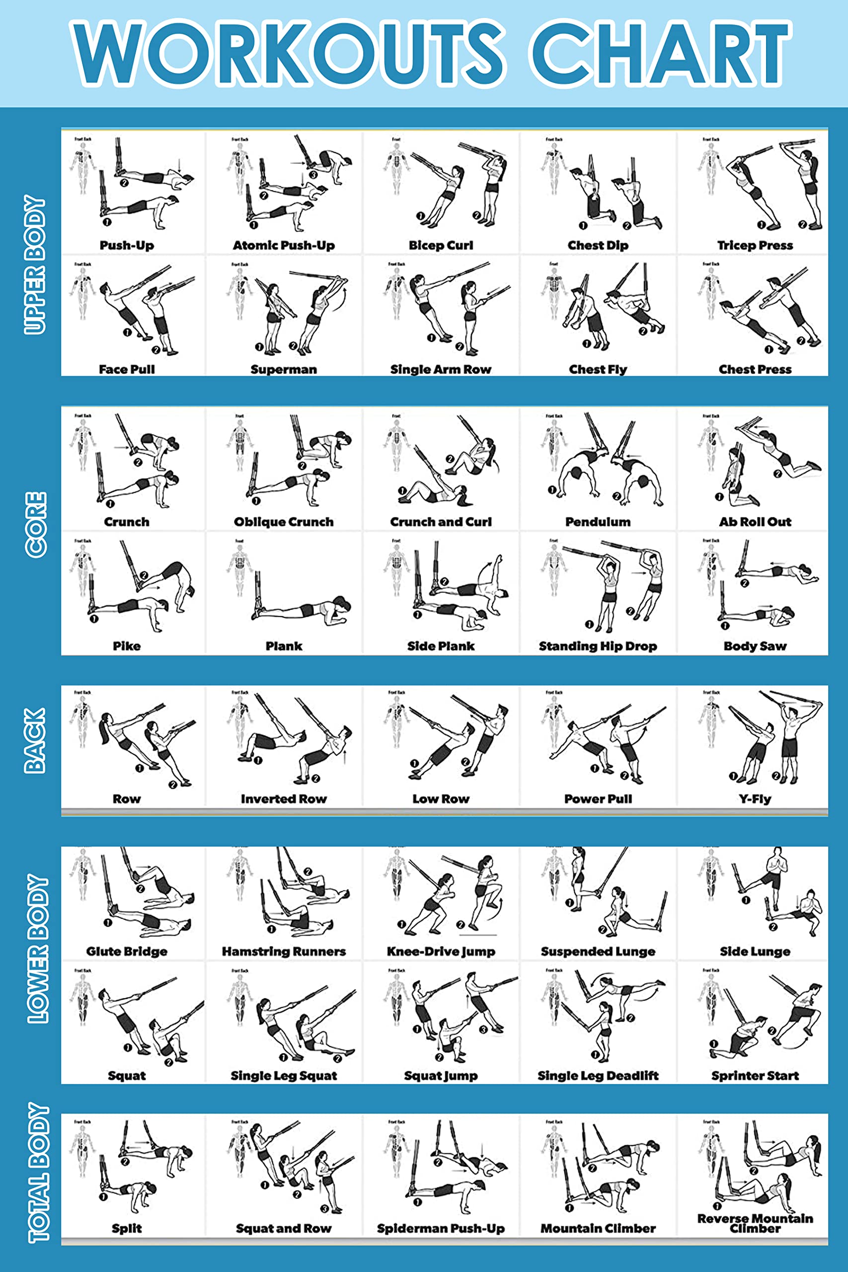 Buy COSMOS Chart of Workout Exercise for make fit and body shape ...