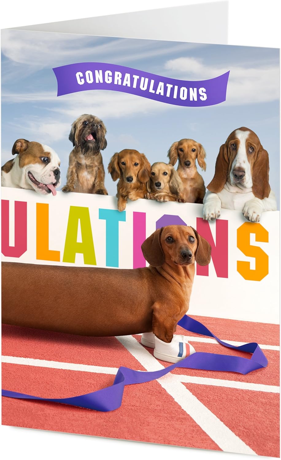 'Congratulations' Dachshund sausage dog winner cheered on by doggy ...