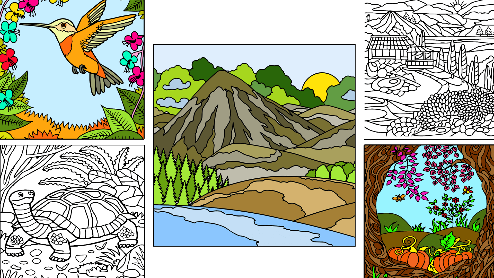 Nature Color by Number - Adult Paint , Glitter & Crayon Coloring Pages ...