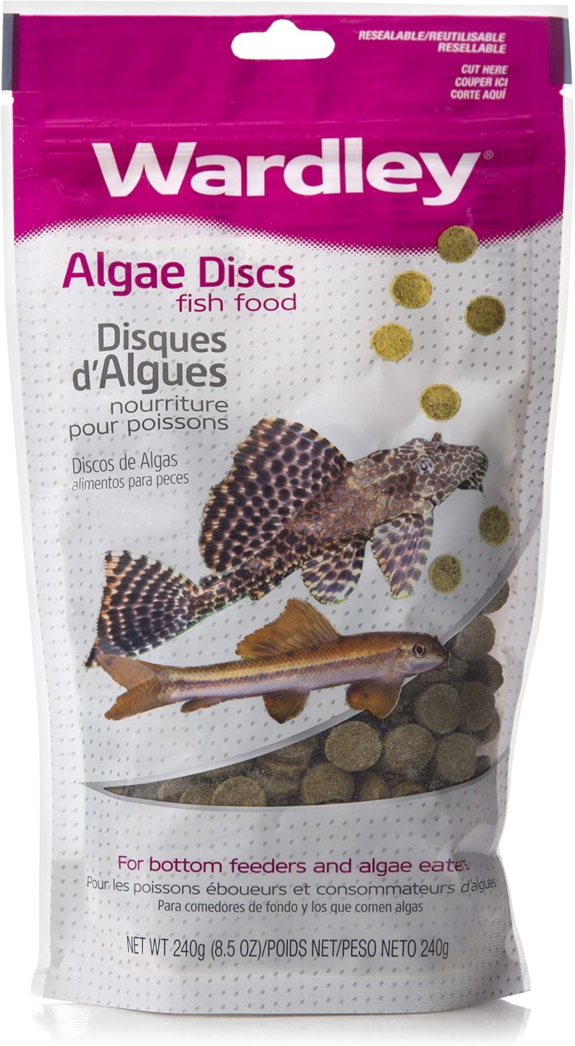 Wardley Premium Algae Discs, 3-Ounce by HARTZ : Amazon.de: Haustier