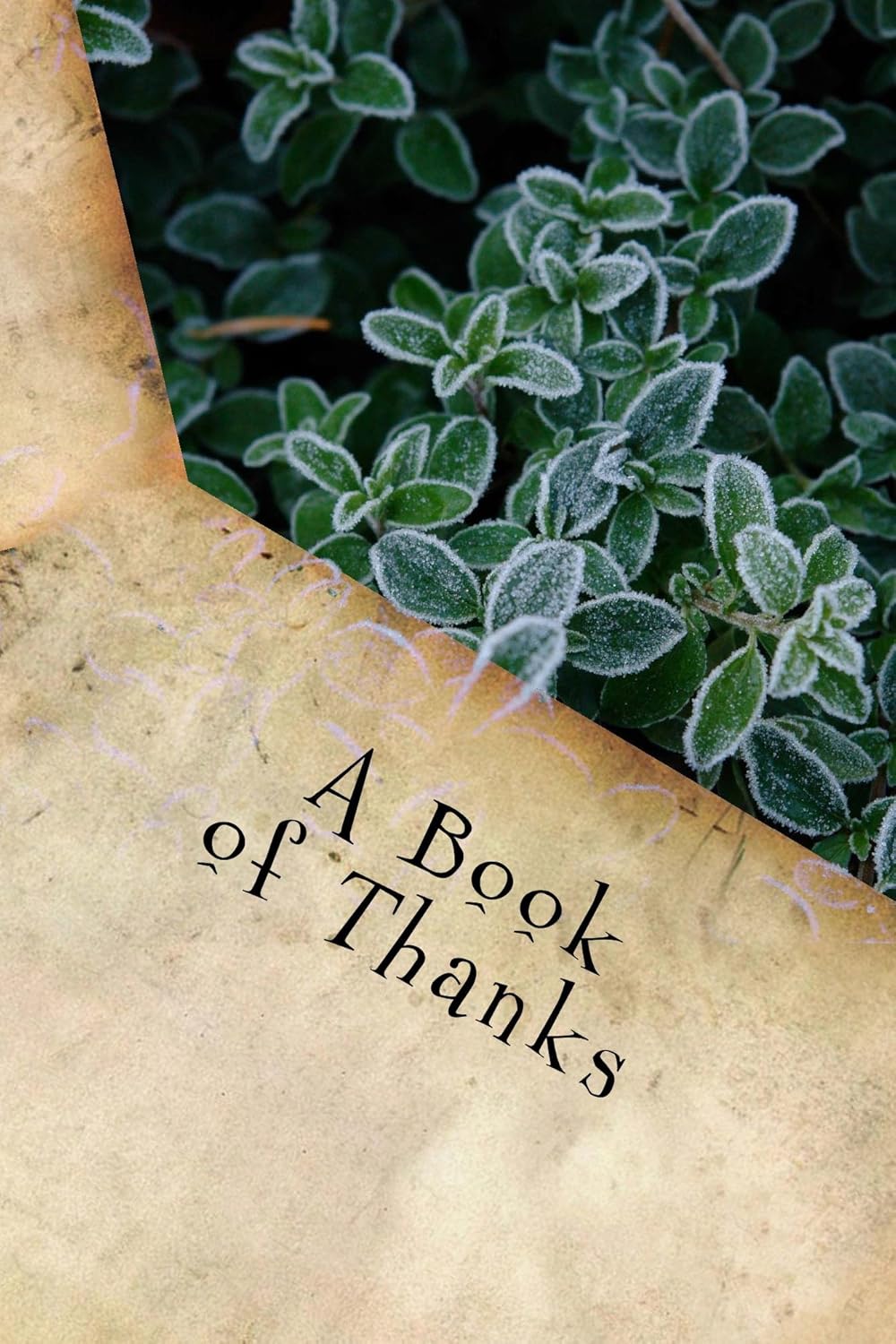 A Book of Thanks - Kindle edition by McGeown, Susan. Religion ...