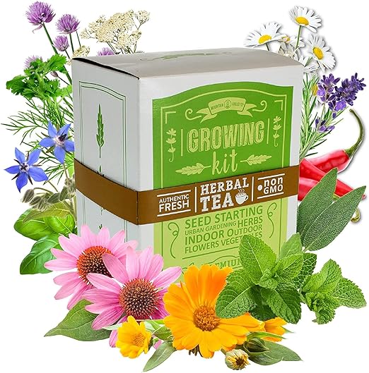 Amazon.com : Medicinal & Herbal Tea Indoor Herb Garden Starter Kit ...