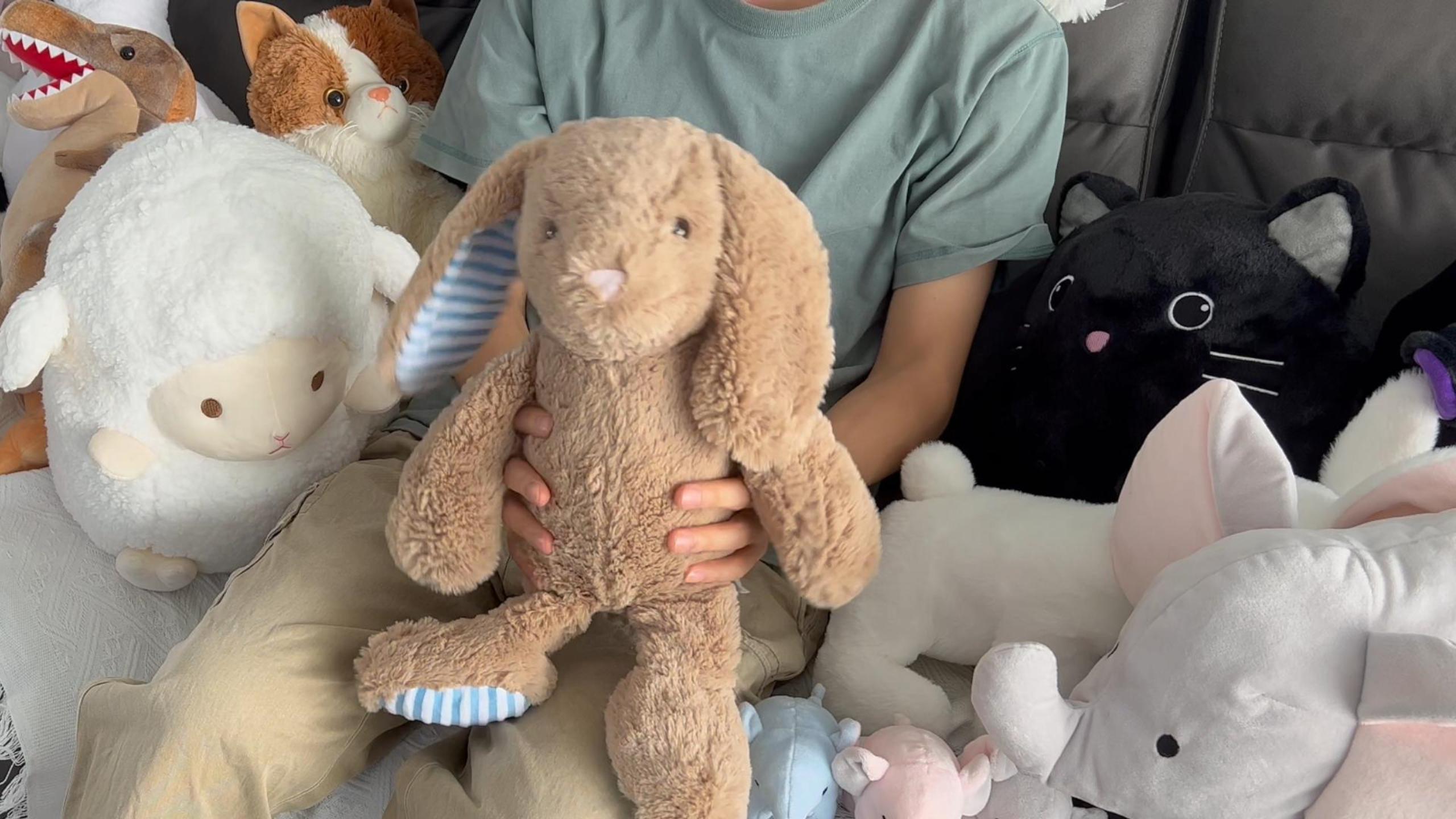 Watch bunny new video on Amazon Live