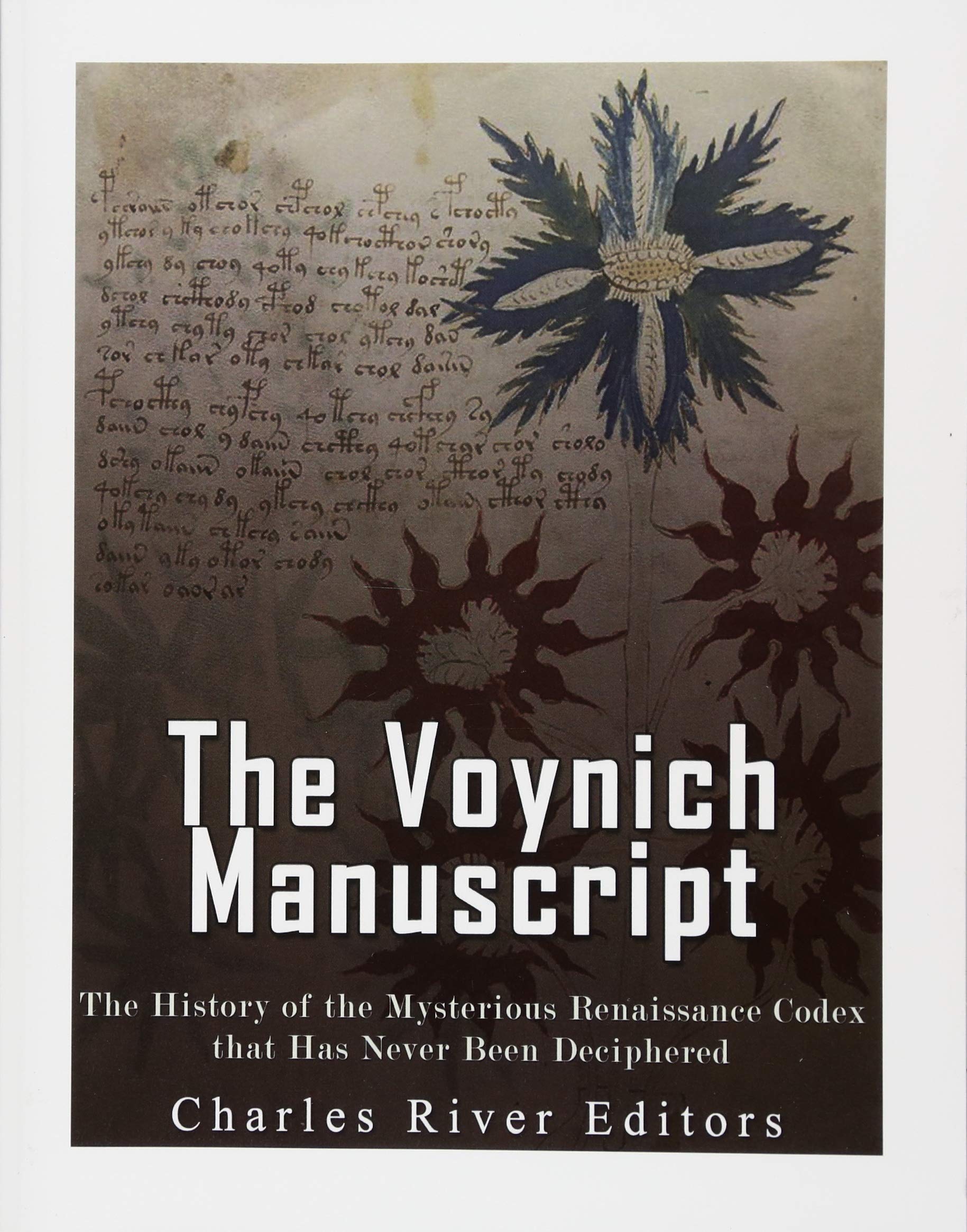Buy The Voynich Manuscript: The History of the Mysterious Renaissance ...