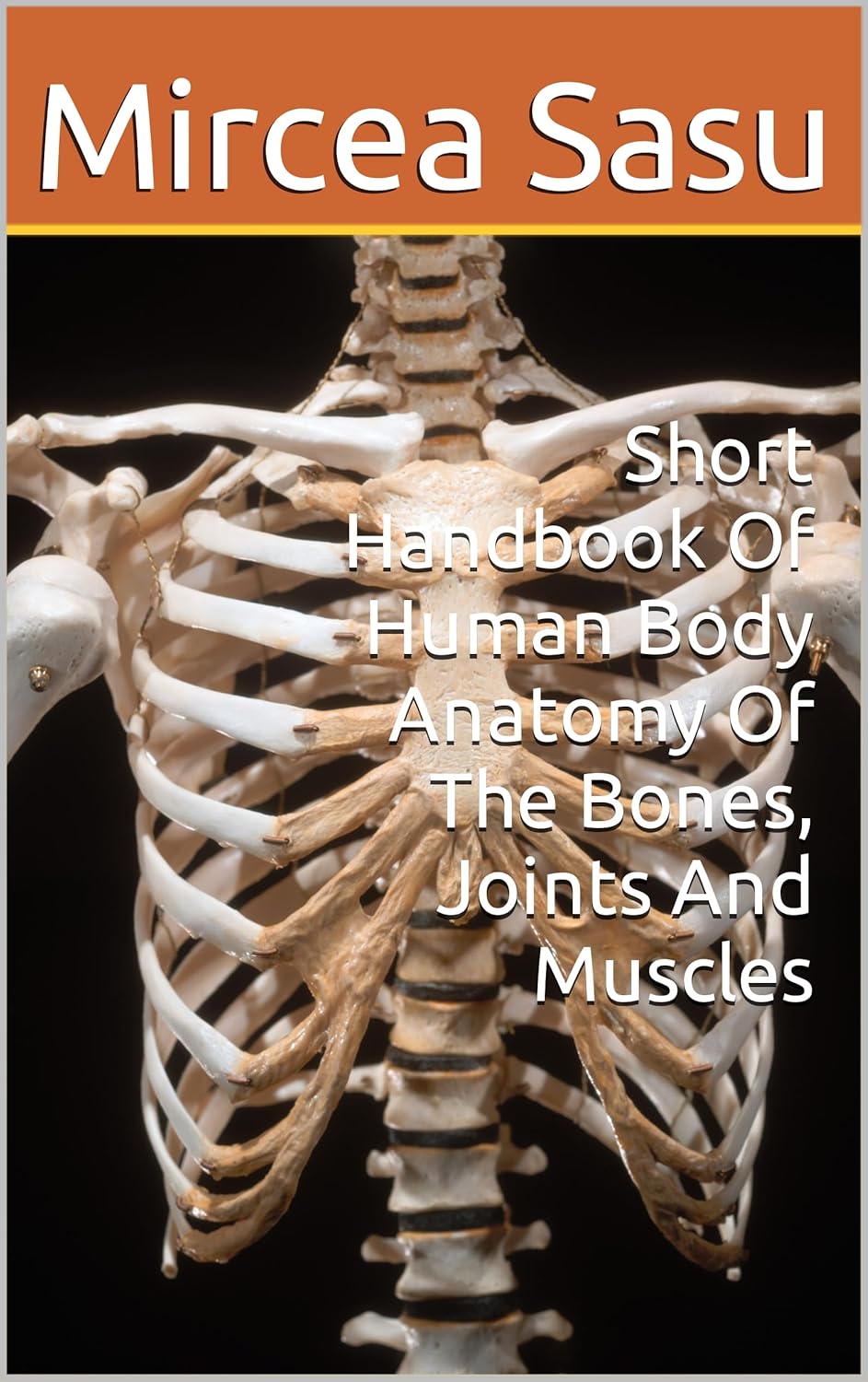 Amazon.com: Short Handbook Of Human Body Anatomy Of The Bones, Joints ...