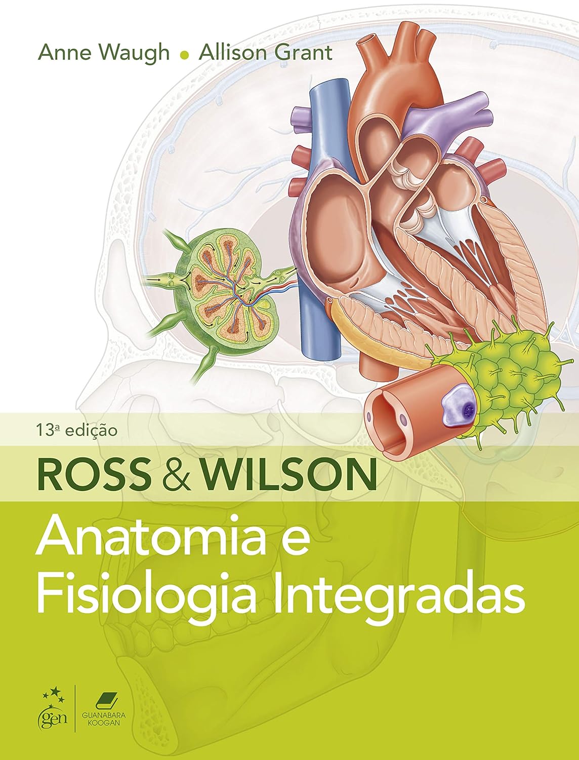 Ross e Wilson Anatomia e Fisiologia Integradas 13/21 : Amazon.com.mx ...