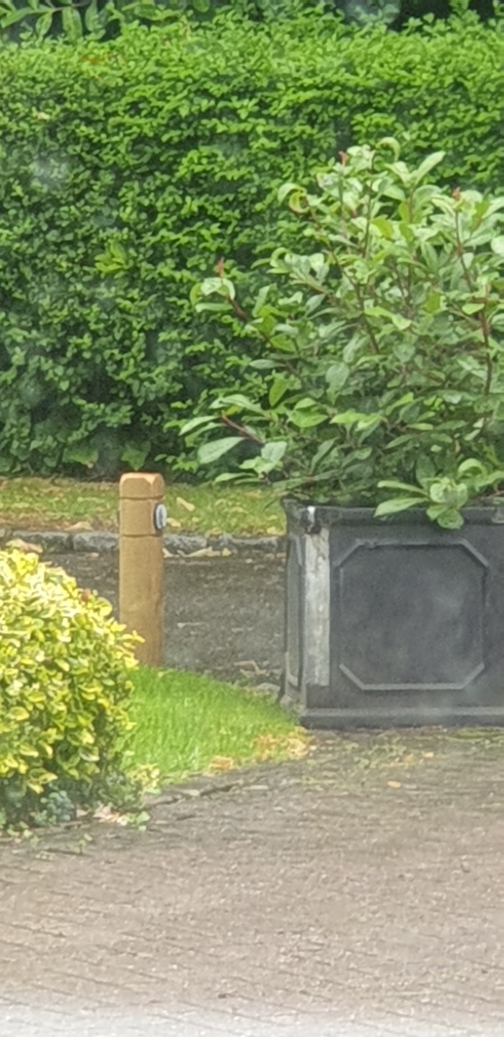 6 x 18 inch (45cm) Timber Front and Rear Reflective Keep Off Grass ...