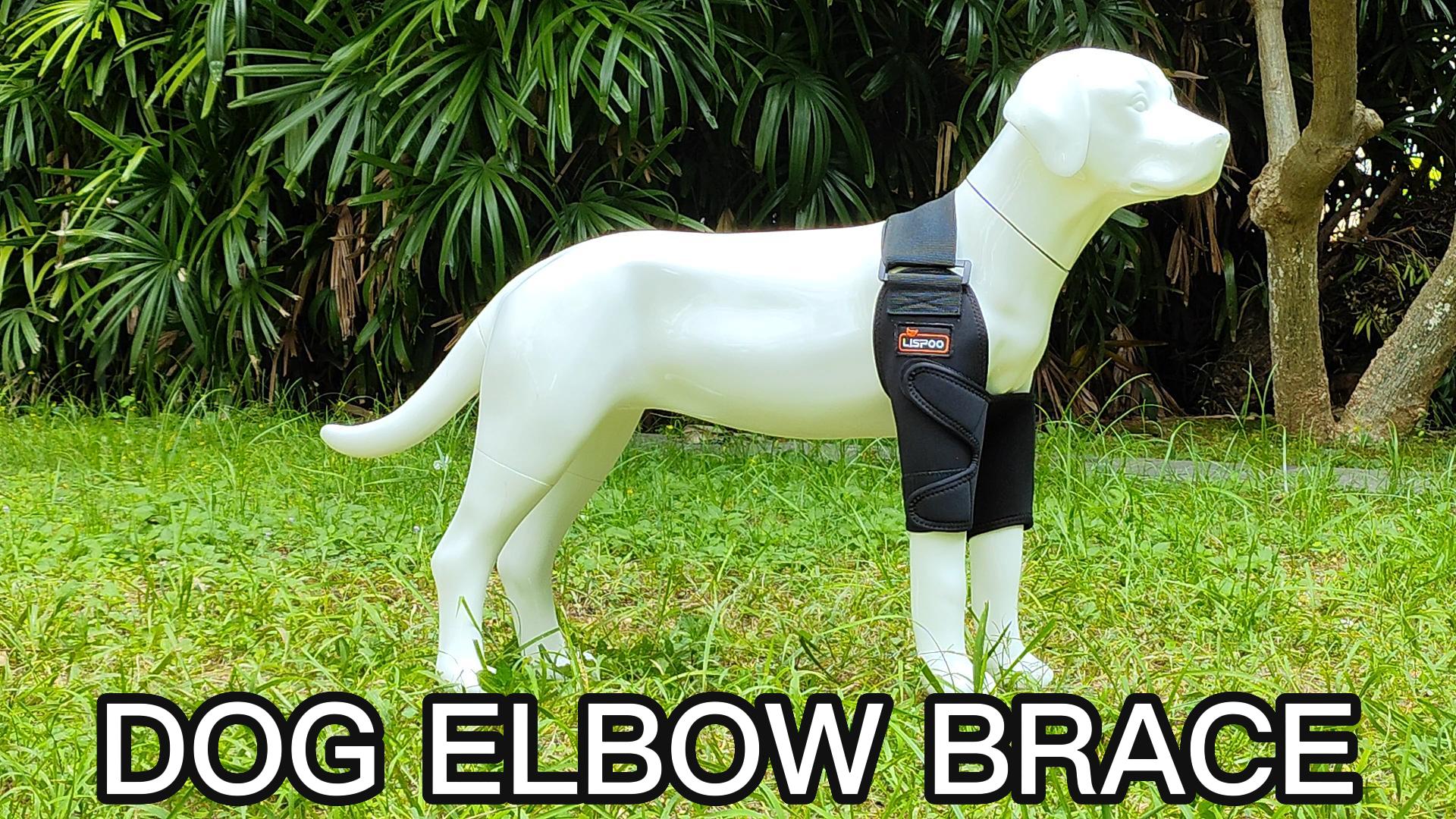 Watch How to put the dog elbow brace on the dog? on Amazon Live