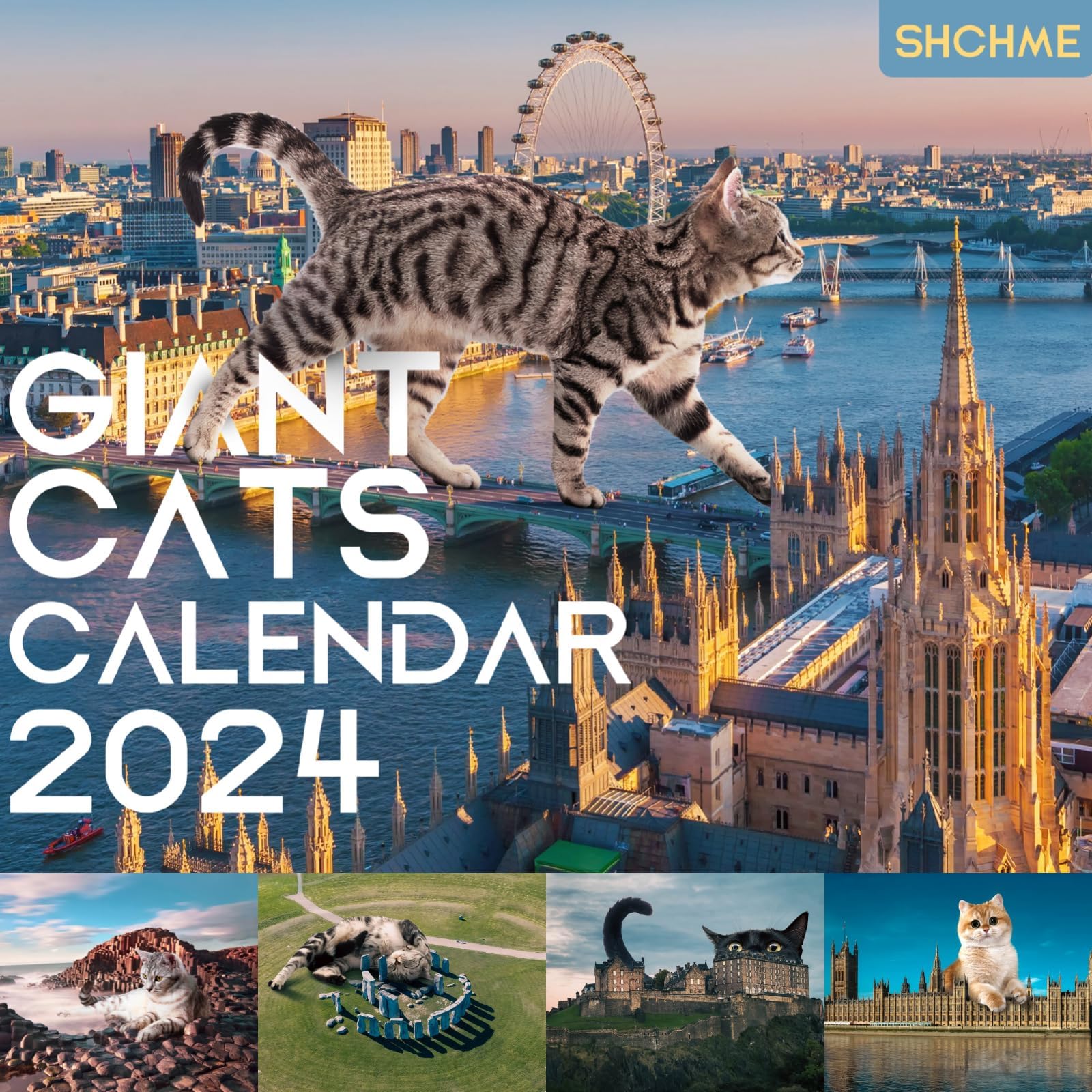 2024 Rescue Cats Monthly Wall Calendar by Bright Day, Calendars For a ...