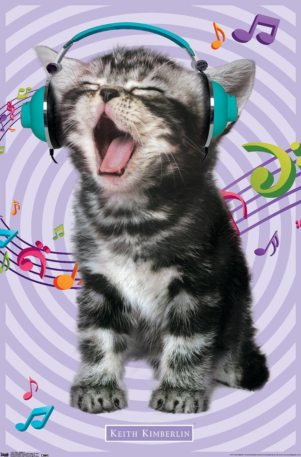 Amazon.com: Trends International Keith Kimberlin - Kitten - Singing ...