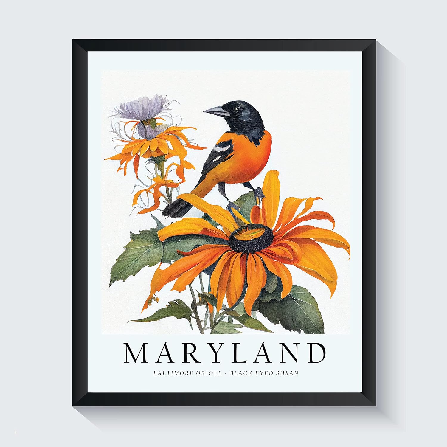 Amazon.com: Maryland State Bird And Flower Art Print, Maryland Poster ...