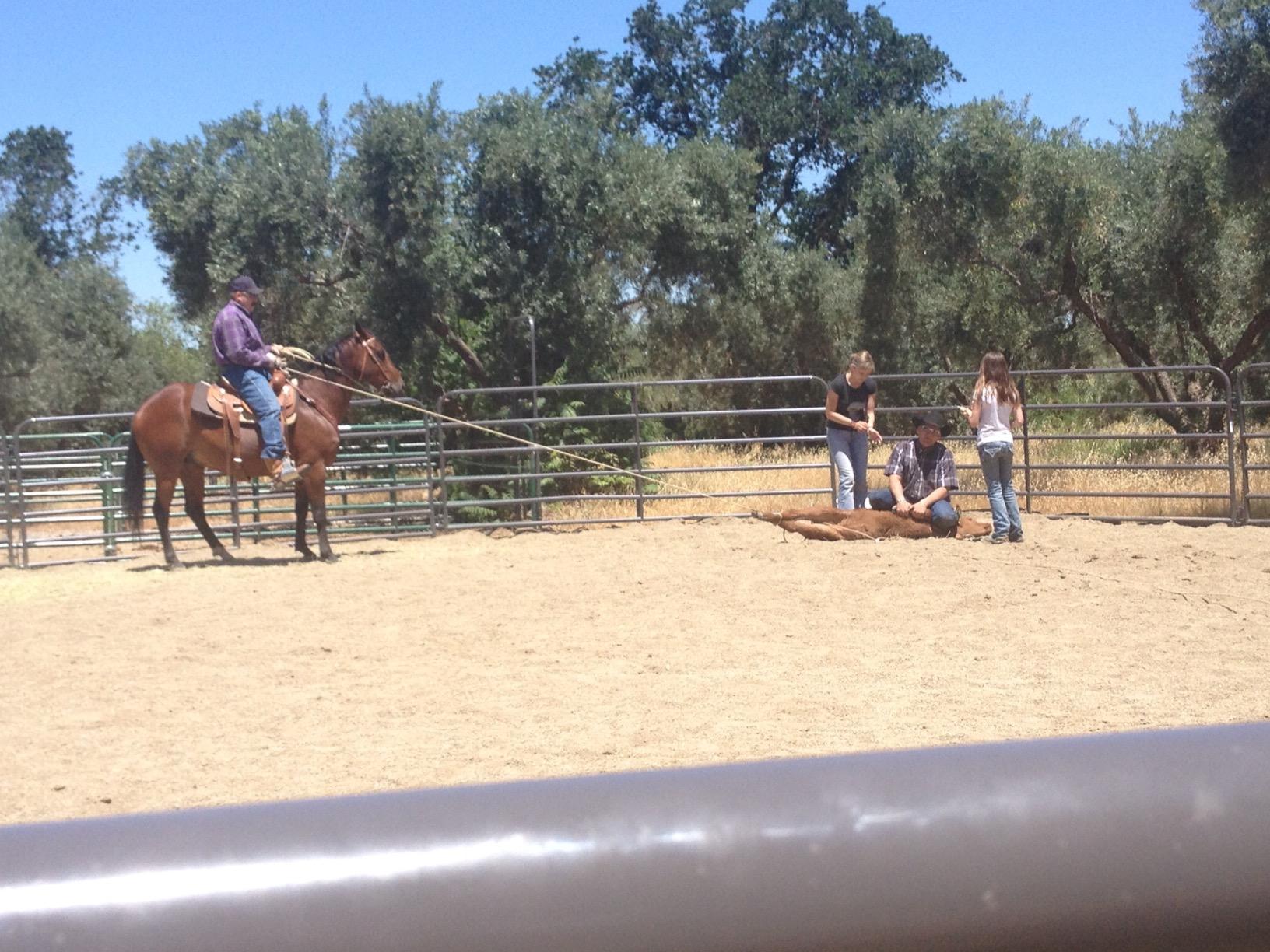 Amazon.com: The Culpepper Cattle Company [Blu-ray] : Gary Grimes, Luke ...