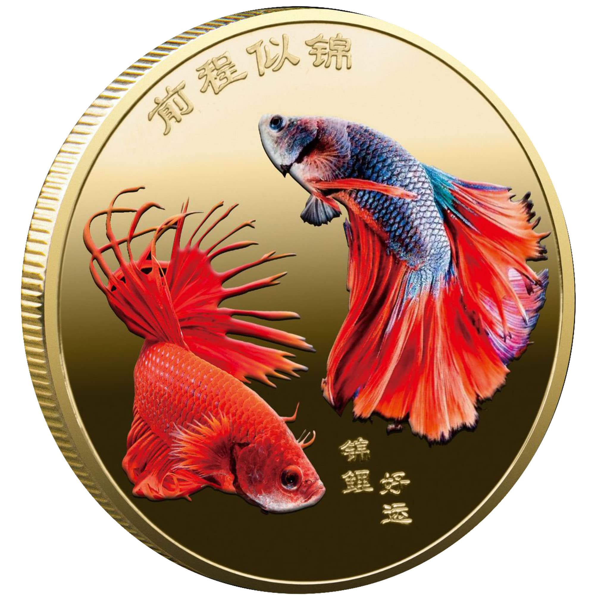 Amazon.com: Good Luck Koi Fish to Wish You an Infinitely Bright Future ...