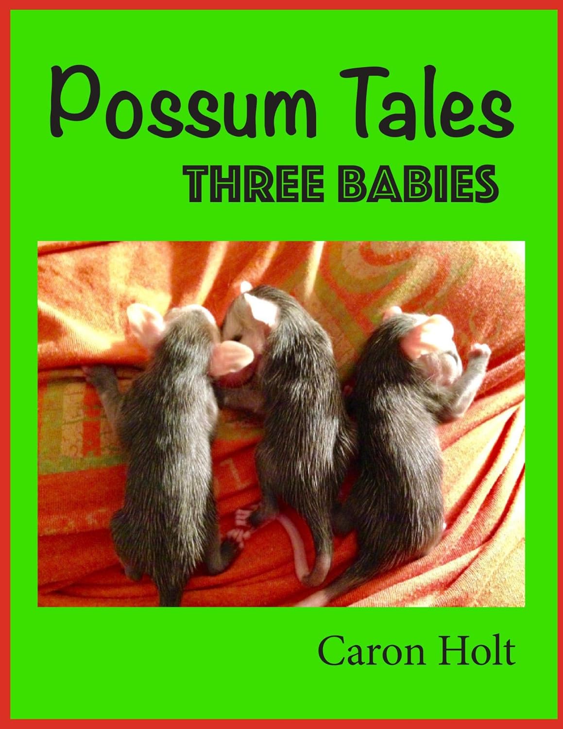 Amazon.com: Possum Tales - Three Babies: (Fun Facts and Unique Pictures ...