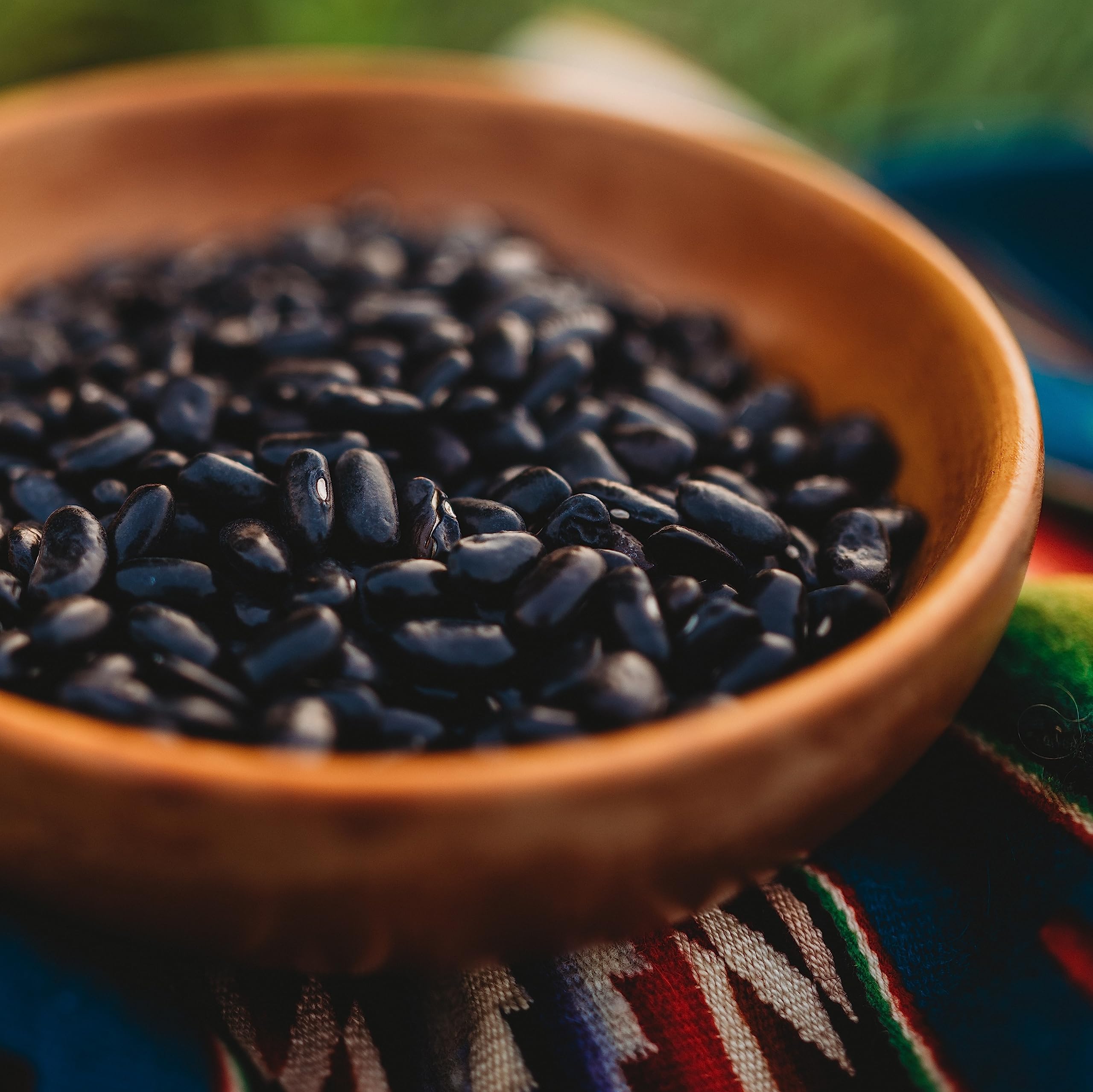 Amazon.com : Cherokee Trail of Tears Bean - 25 Seeds - Rare Heirloom ...