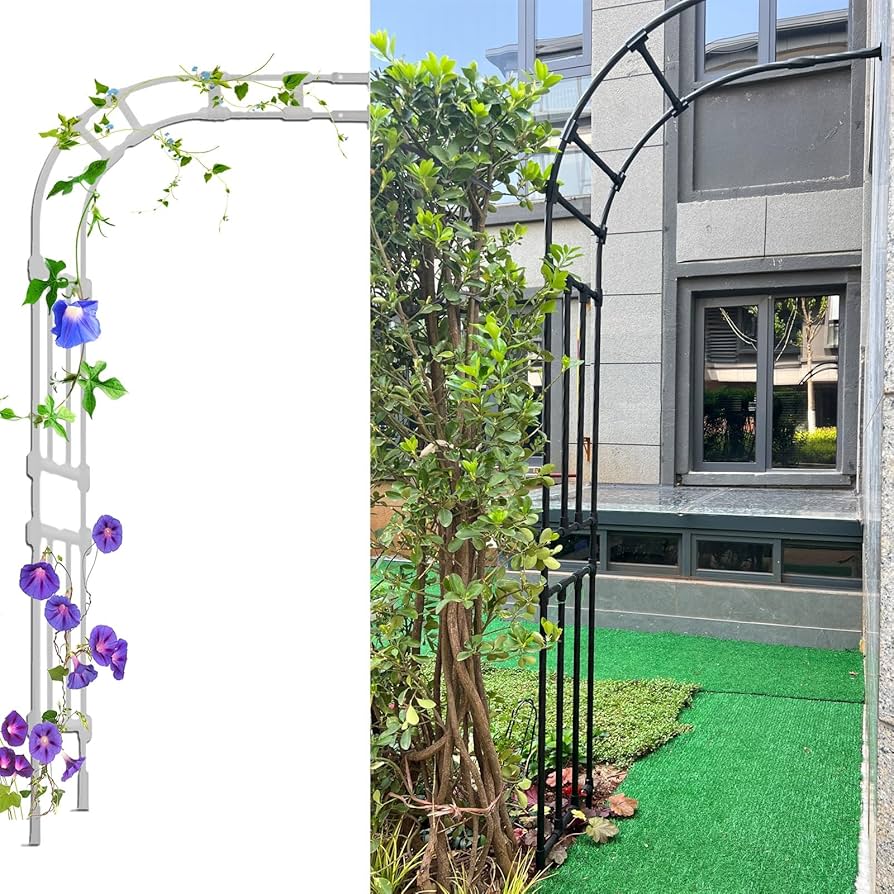 Plantas Trepadoras De Exterior Decora La Pared De La Terraza Con