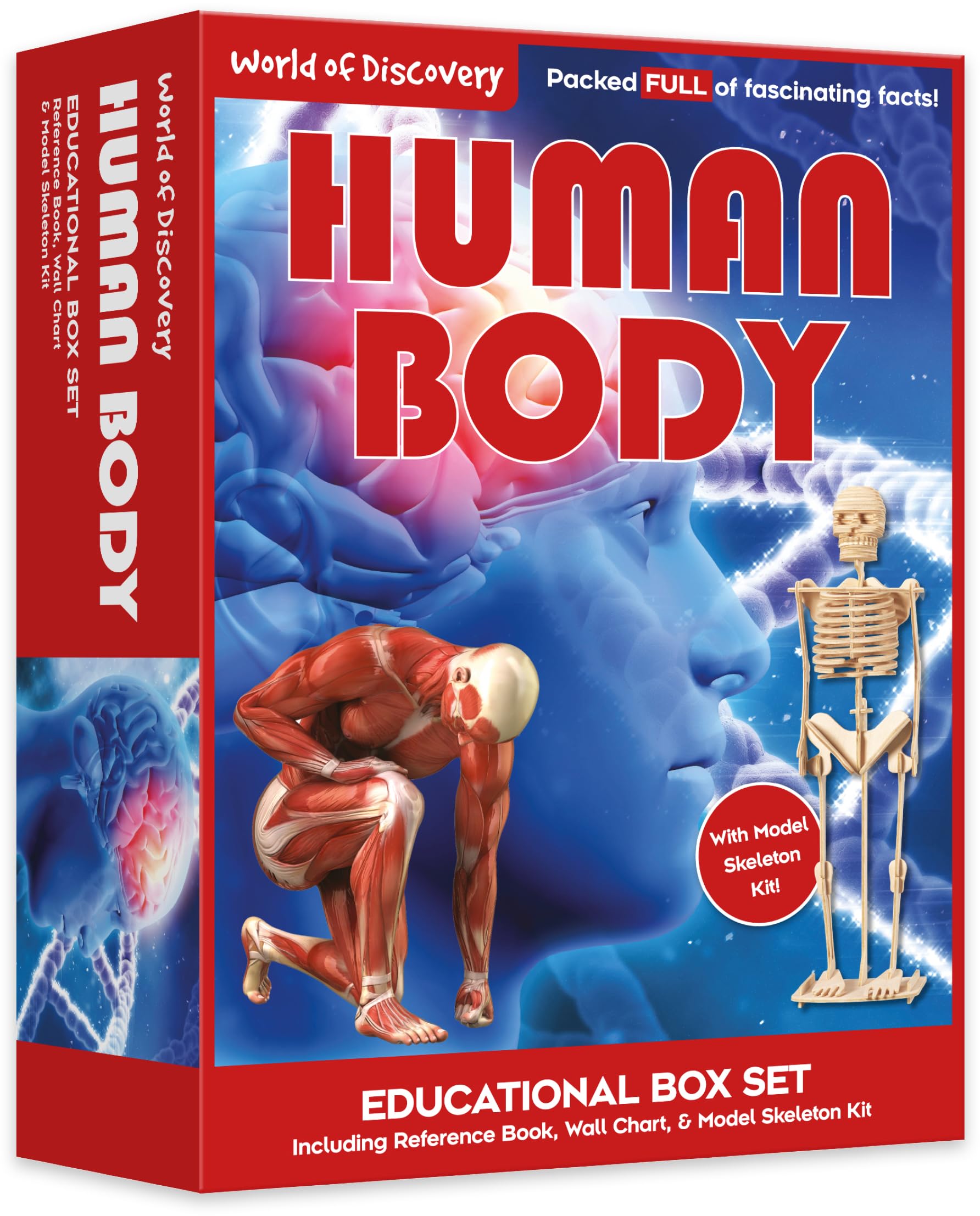 Children's Human Body Educational Box Set - Includes Reference Book ...