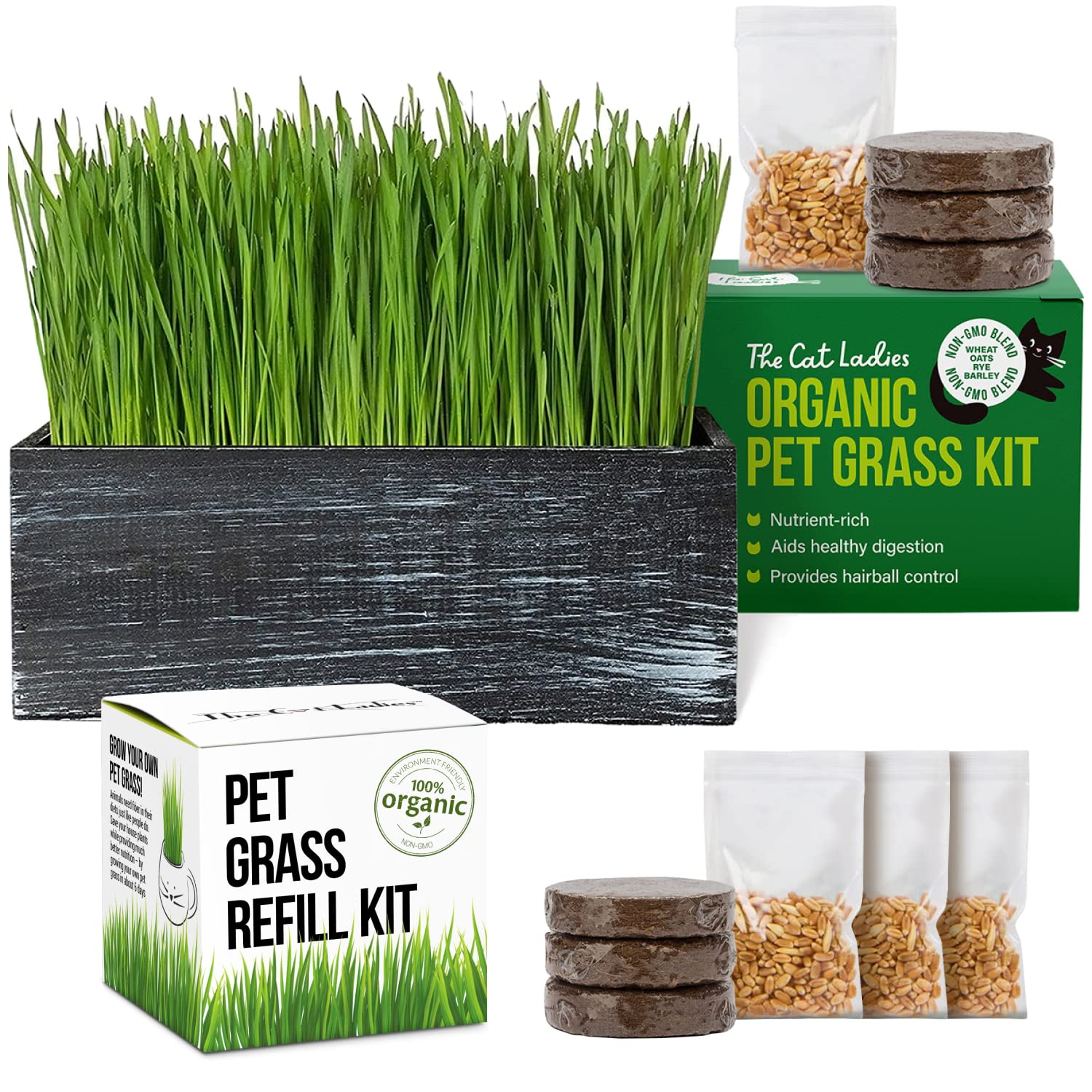 Amazon.com : TCL Black Wooden Planter Cat Grass Kit with Refill : Pet ...
