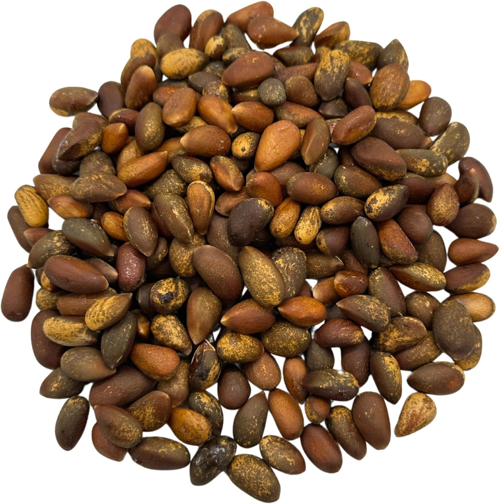Amazon.com : Spuun Foods In-Shell Pinon Nuts 3 oz : Grocery & Gourmet Food