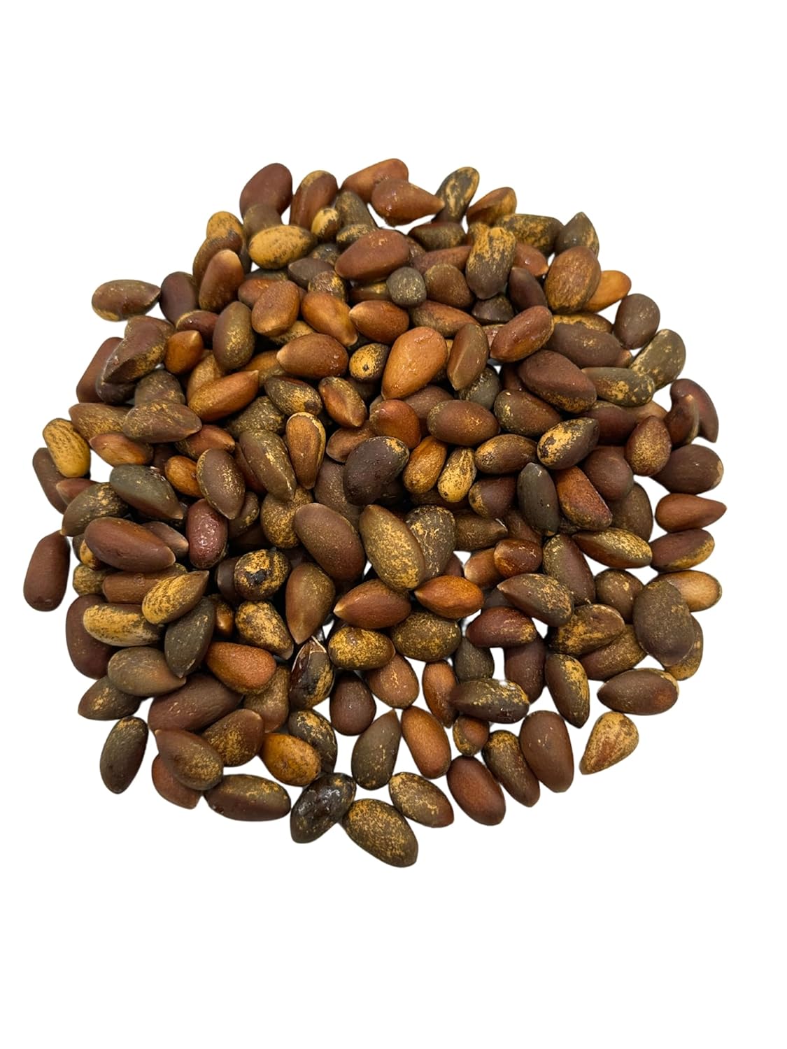 Amazon.com : Spuun Foods In-Shell Pinon Nuts 3 oz : Grocery & Gourmet Food