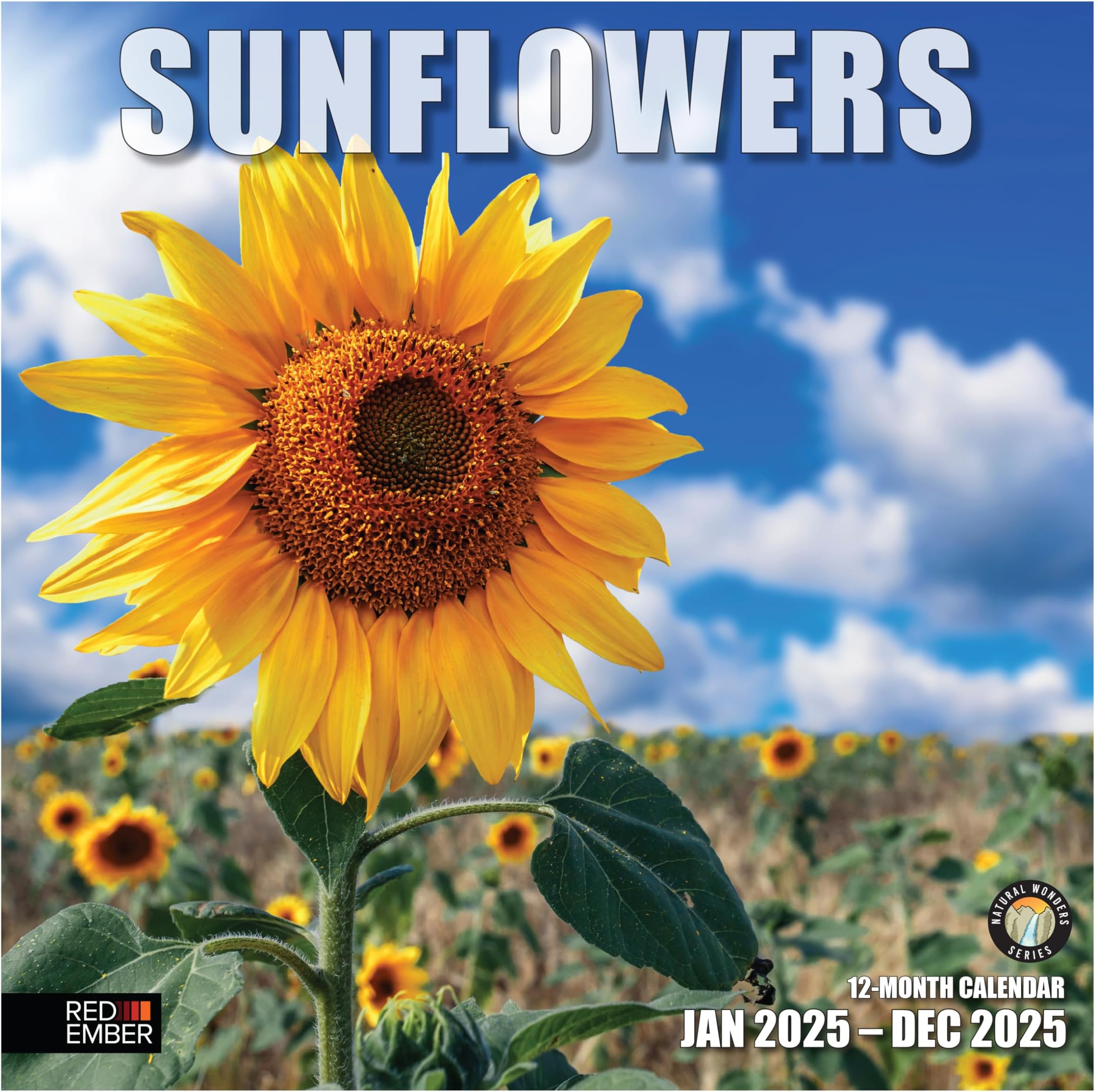 Amazon.com: 2025 Sunflower Big Grid Wall Calendar, 12-Inch x 9-Inch ...