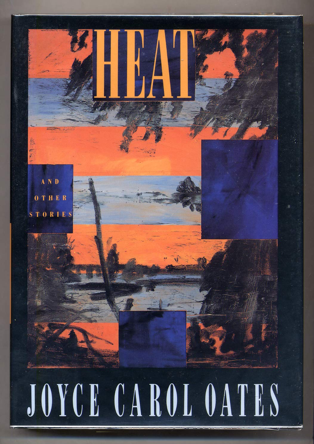 Heat and Other Stories: Oates, Joyce Carol: 9780525933304: Amazon.com ...