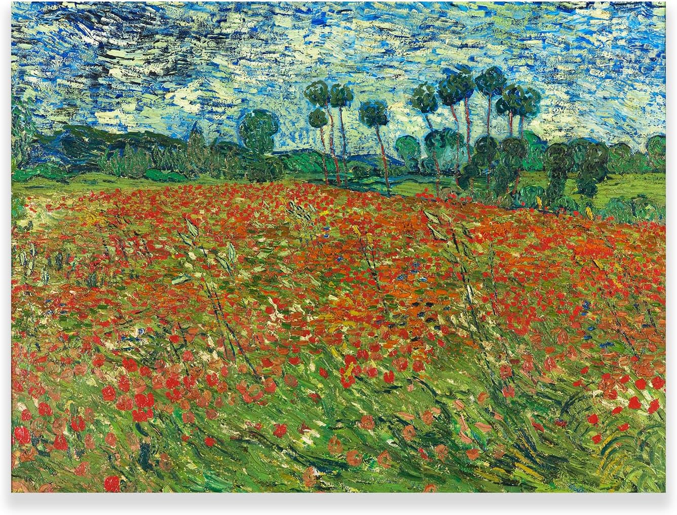 Amazon.com: Van Gogh Canvas Wall Art - Poppy Field June 1890 Poster ...