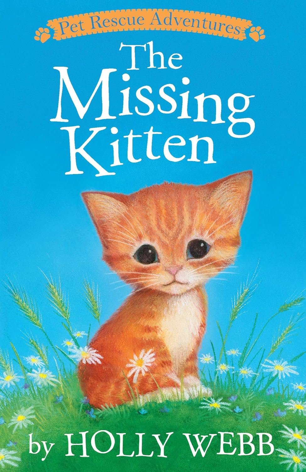 Amazon.com: The Missing Kitten (Pet Rescue Adventures): 9781589254886 ...