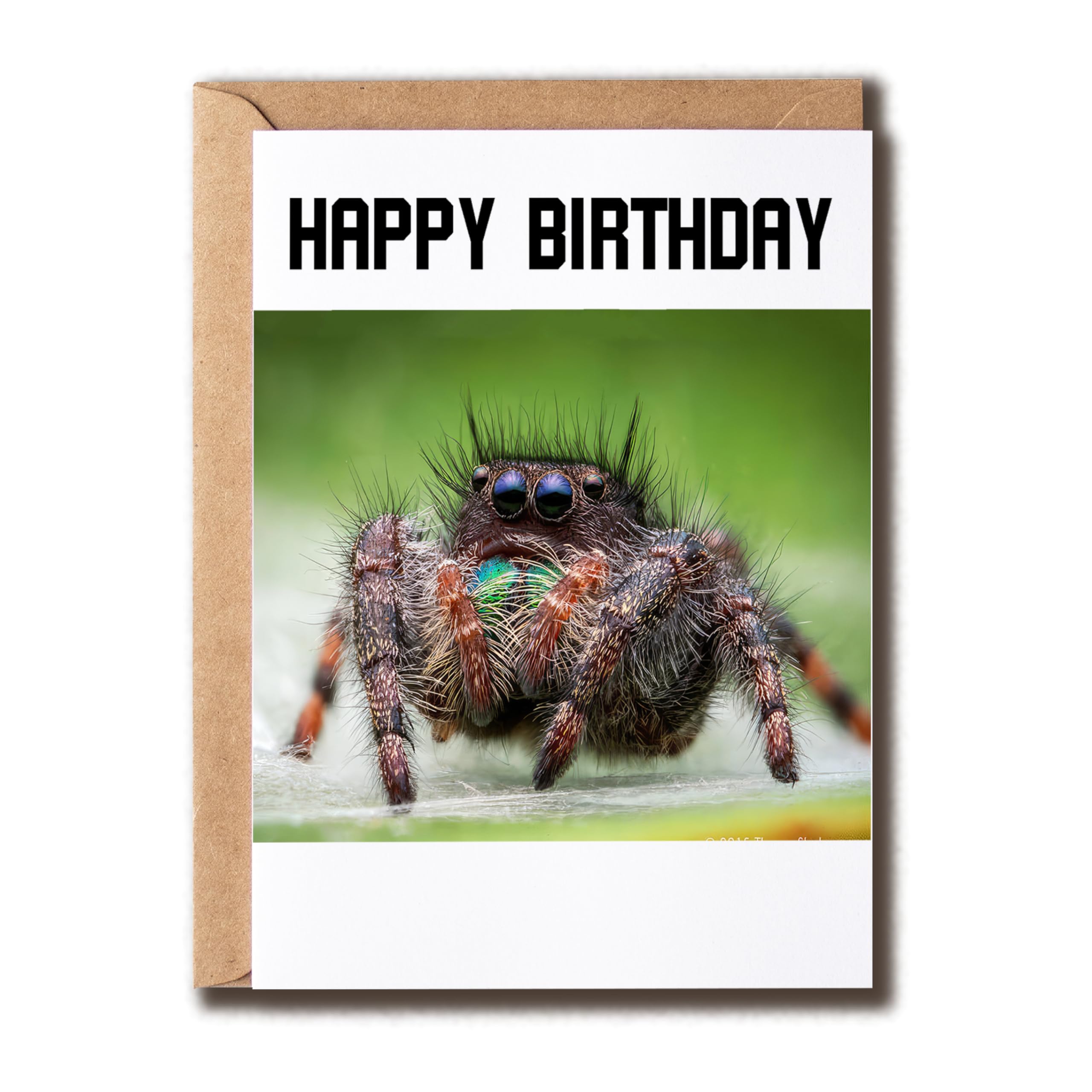 Jumping Spider Happy Birthday Meme Spiderman Birthday Memes & GIFs