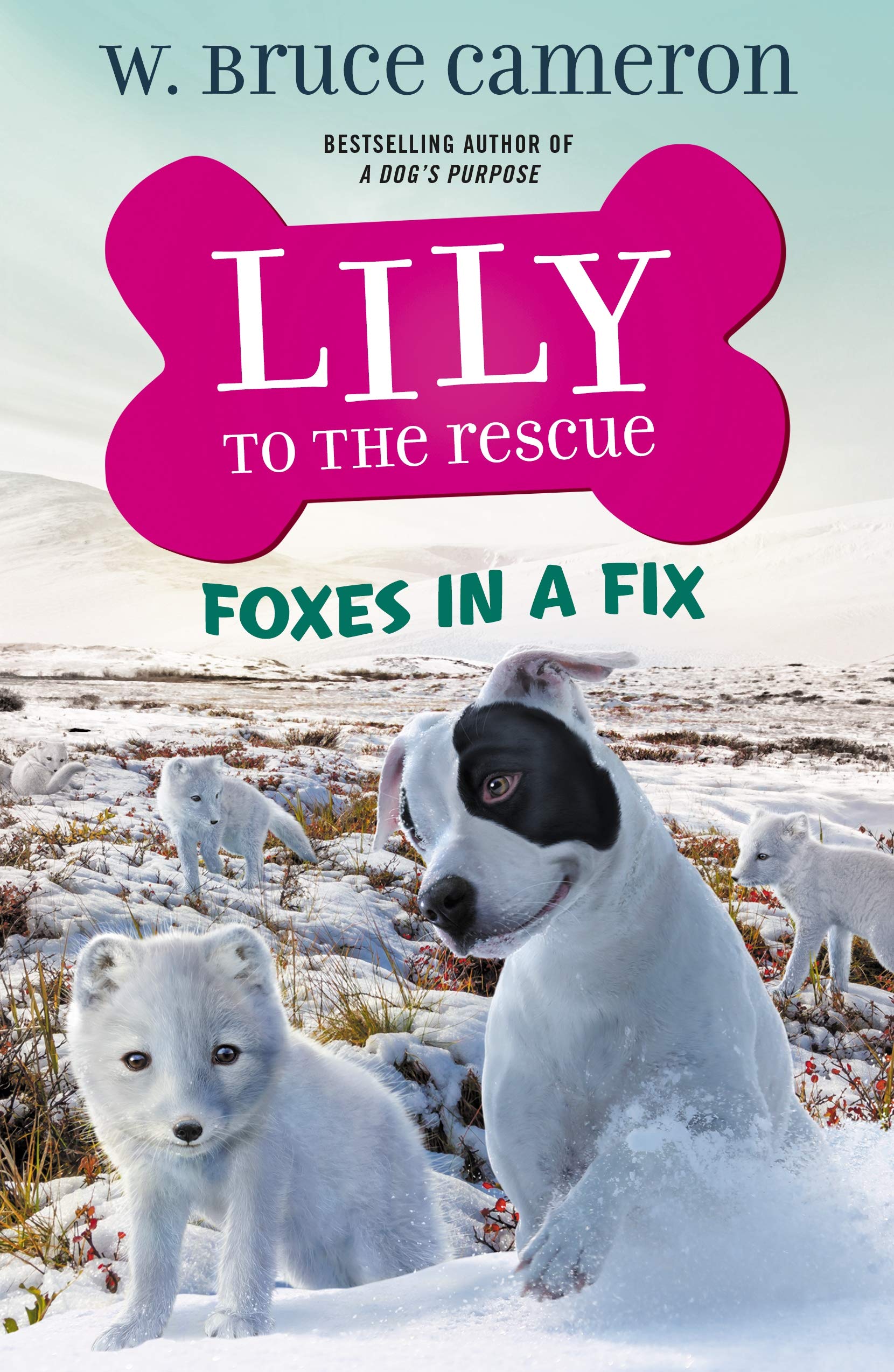 Amazon.com: Lily to the Rescue: Foxes in a Fix (Lily to the Rescue!, 7 ...