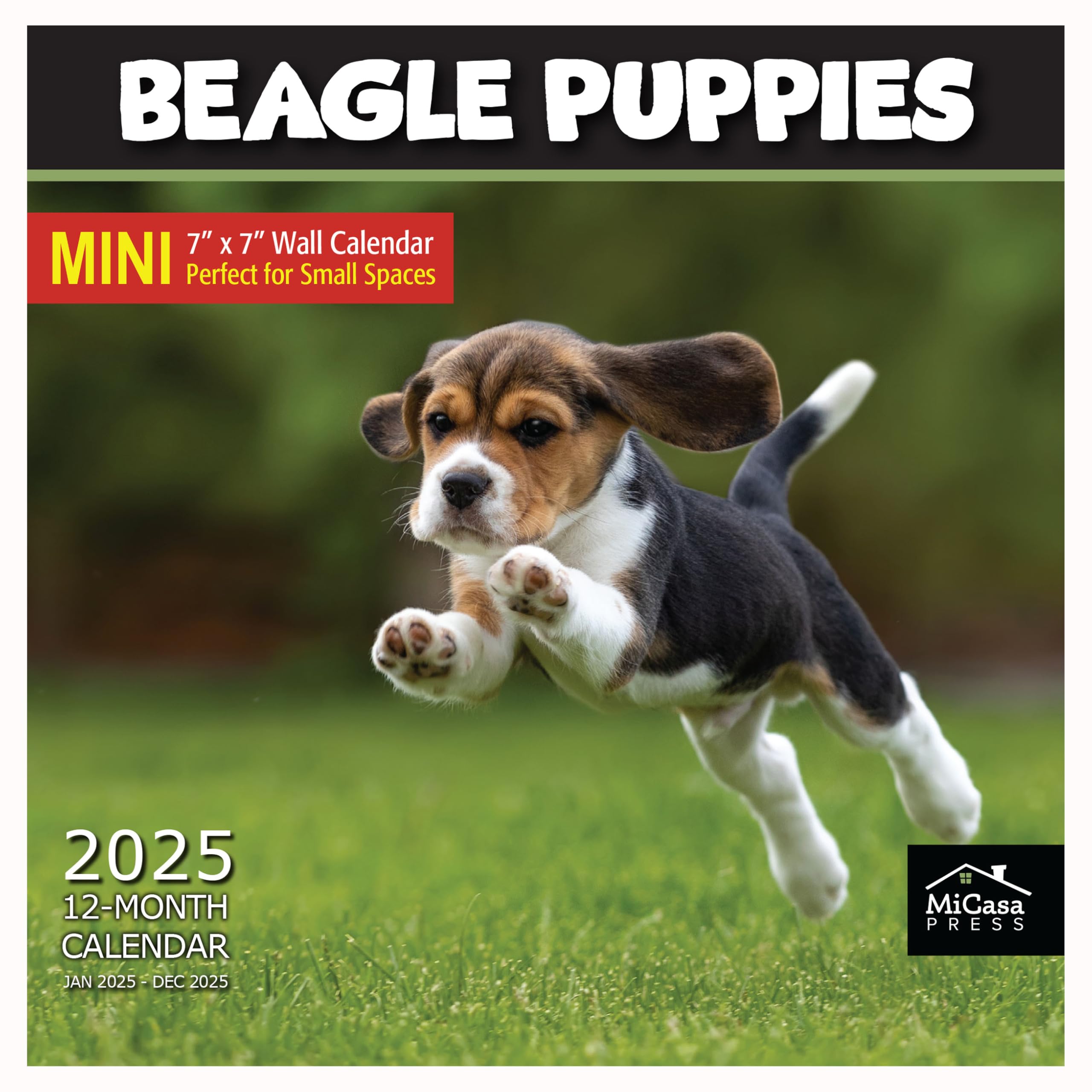 Amazon.com: MICASA Beagle Puppies 2025 Mini Hangable Monthly Wall ...