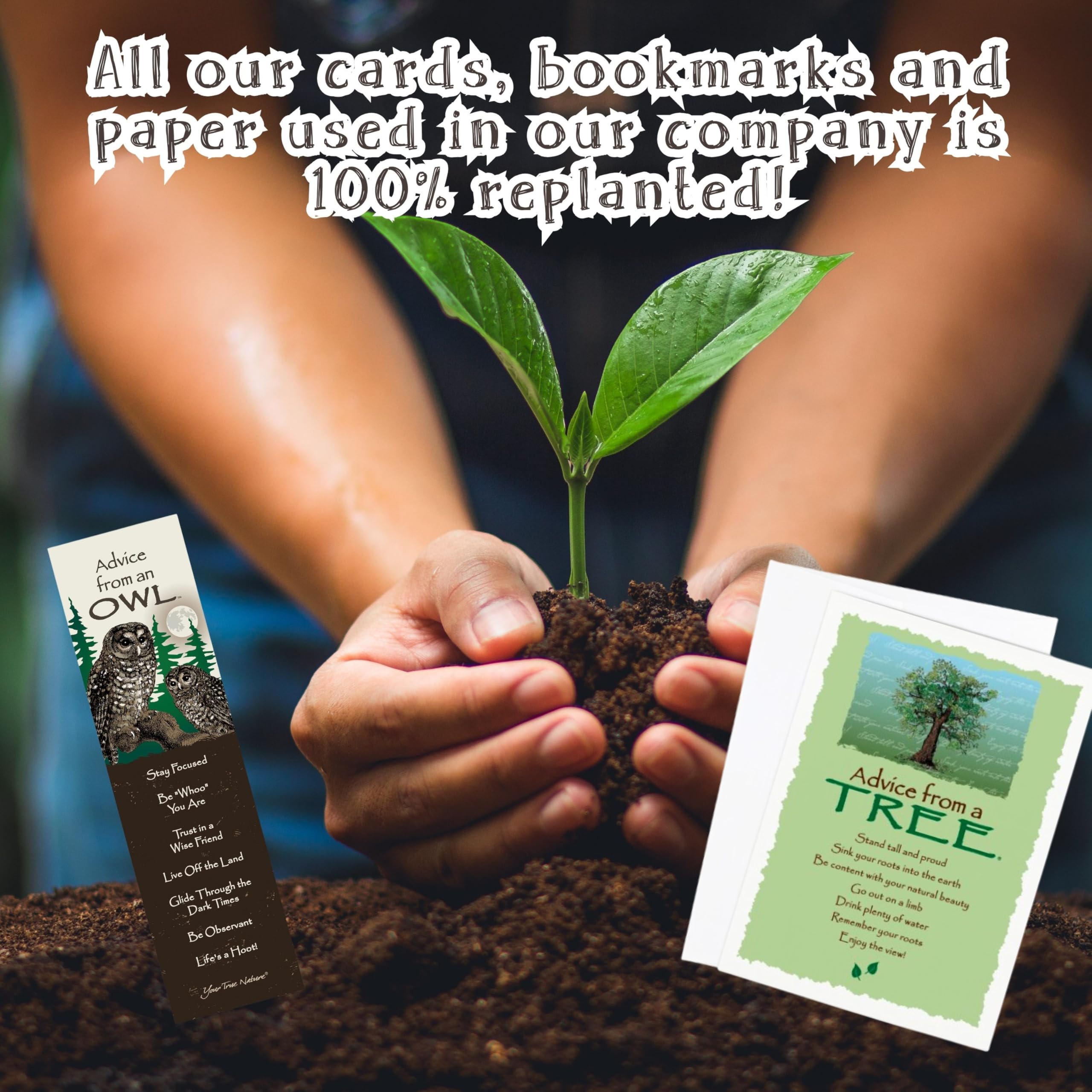Advice Cards From Nature