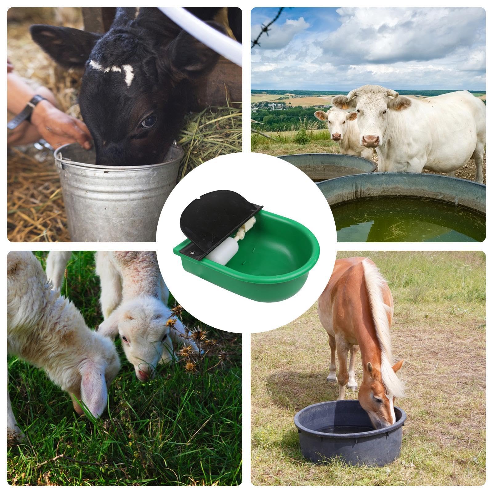 Farm Animals Drinking Water Water Quality And Its Effect On Livestock: