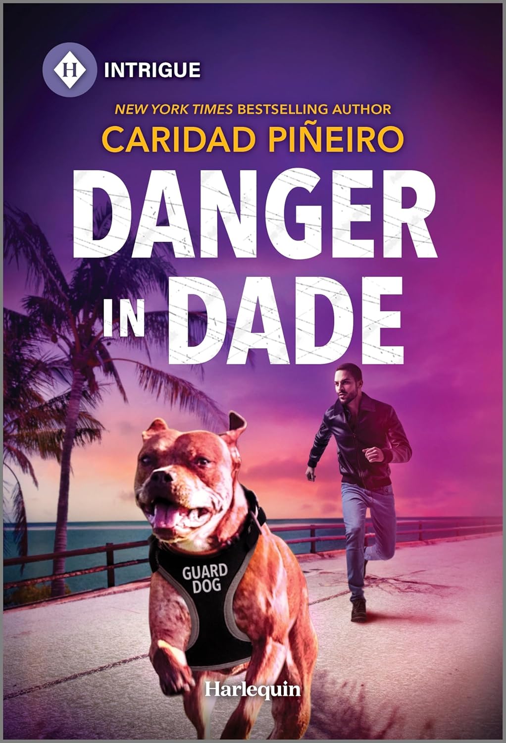 Amazon.com: Danger in Dade (South Beach Security: K-9 Division, 4 ...