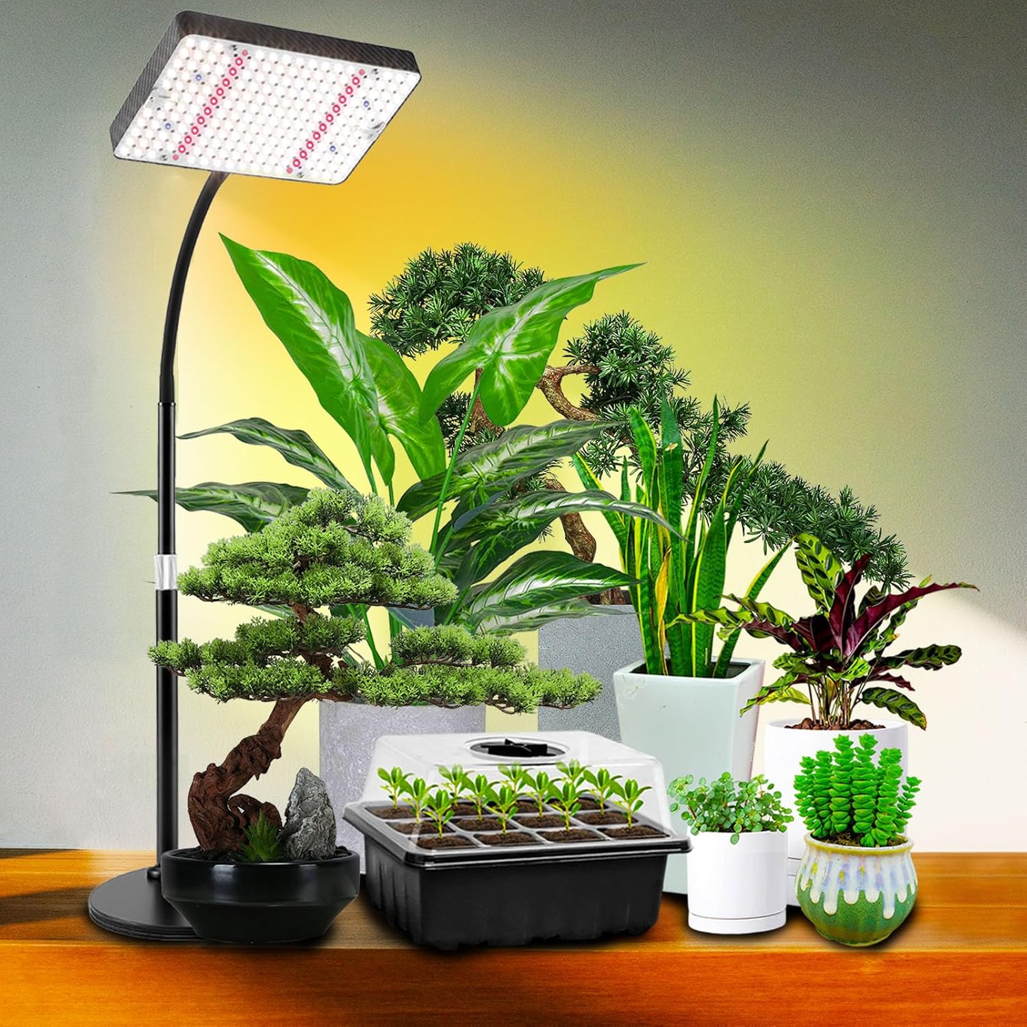 Amazon.com : GroCruiser Table Top Grow Light 25 Watt, Desk Grow Lights ...