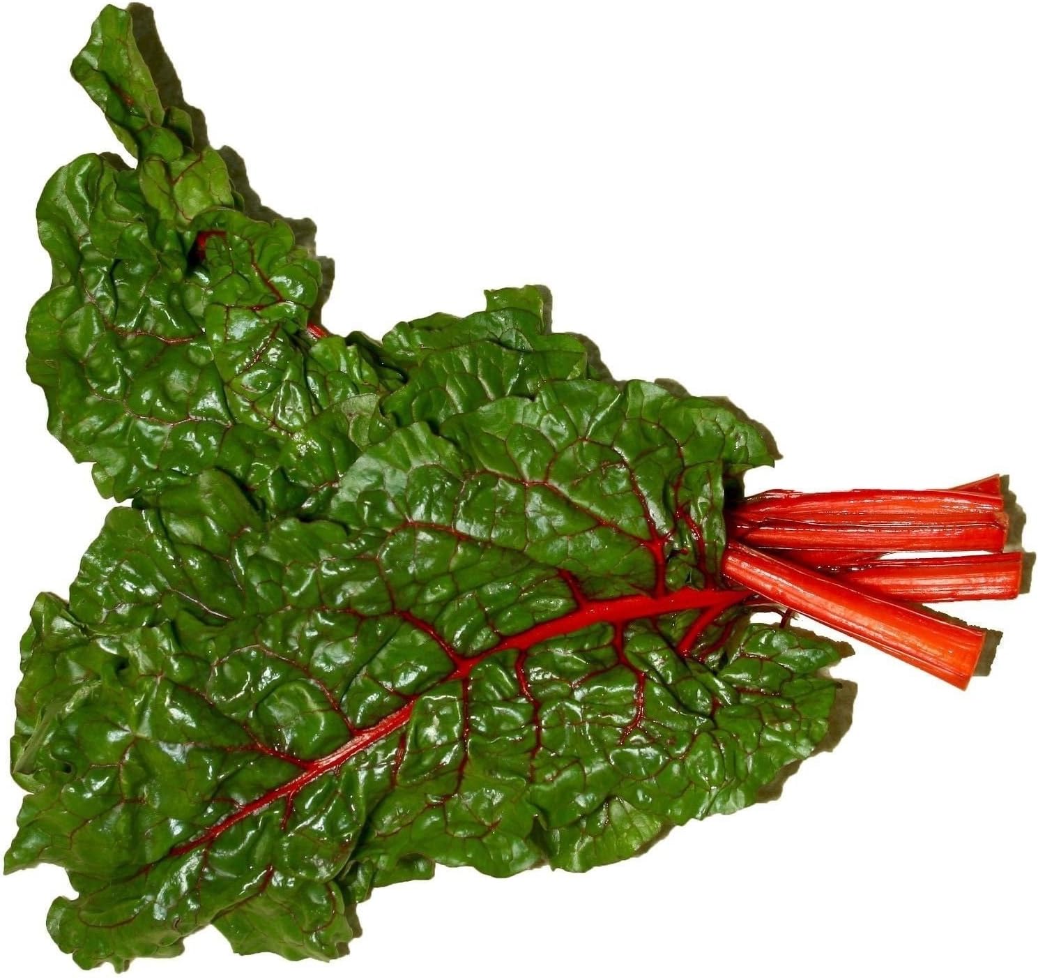 Amazon.com : Ruby Swiss Chard 100 seeds Edible Ornamental Non ...