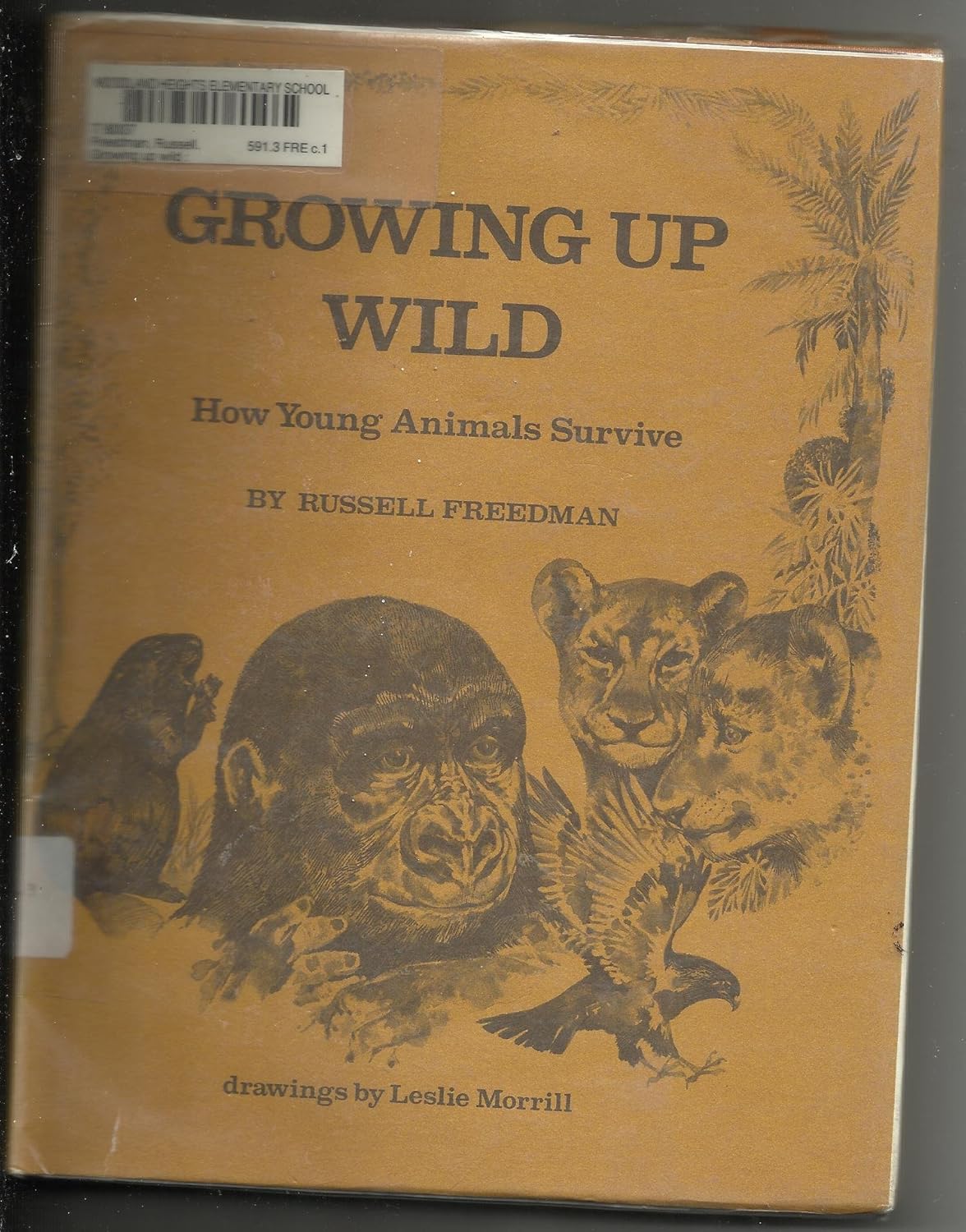 Growing Up Wild: How Young Animals Survive: Amazon.co.uk: 9780823402656 ...