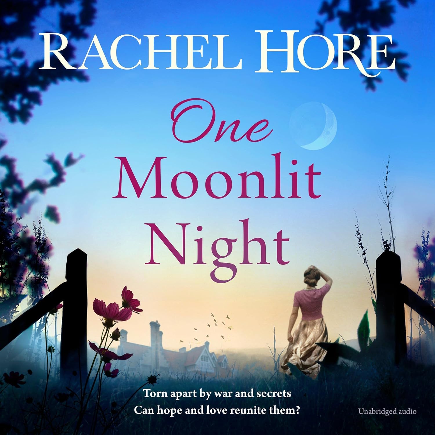 One Moonlit Night: The unmissable novel from the million-copy Sunday ...