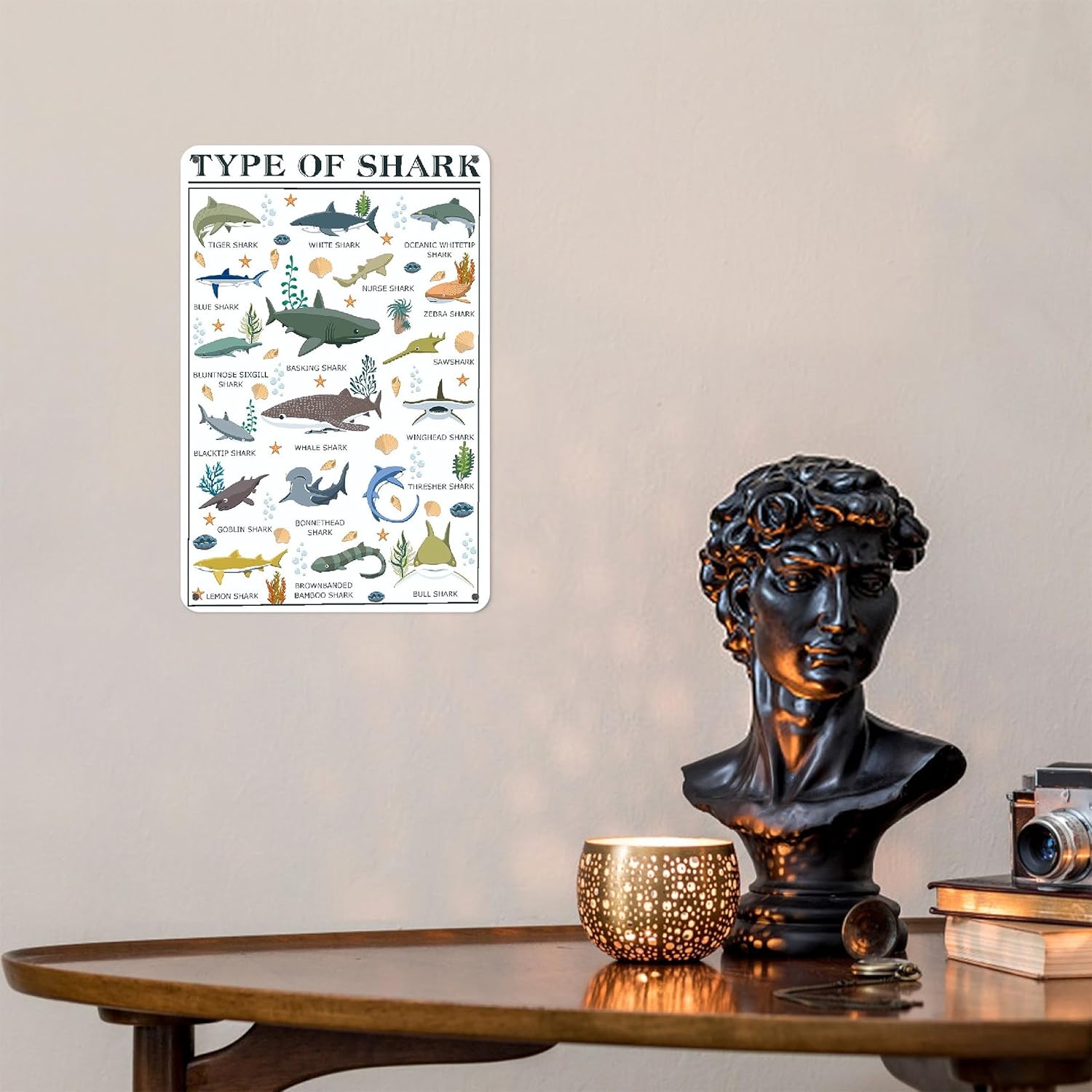 Póster de tiburón Arte de pared de conocimiento de tiburón Tipos de ...