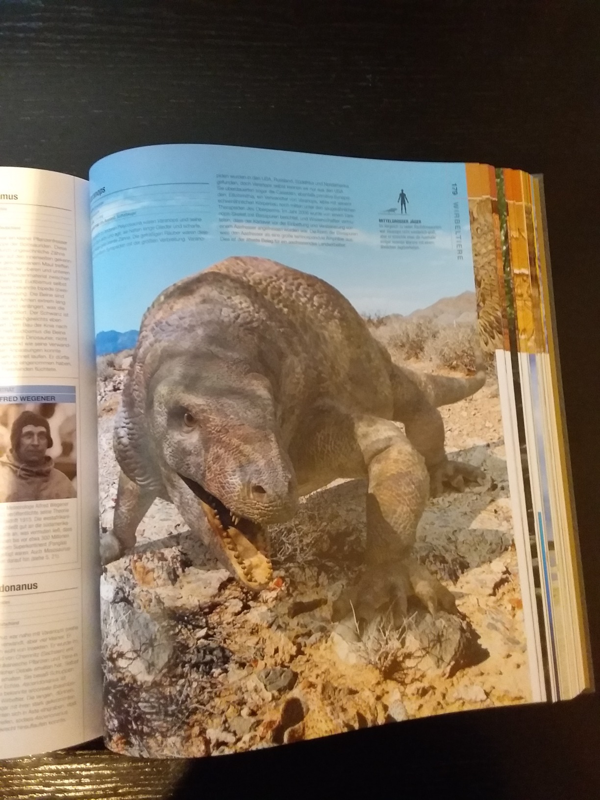 Dinosaurier und andere Lebewesen der Urzeit: Die große Bild ...