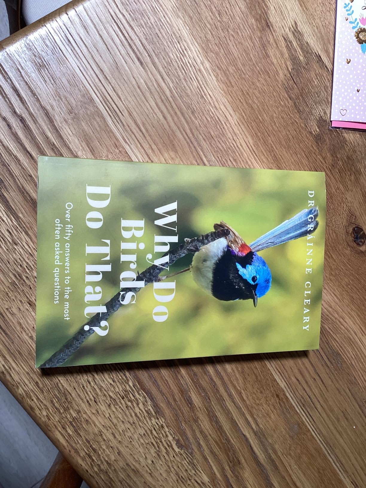 Why Do Birds Do That? eBook : Cleary, Grainne: Amazon.com.au: Books