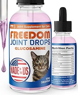 9 Home Remedies For Relieving Cat Pain Safely And Naturally | PetShun