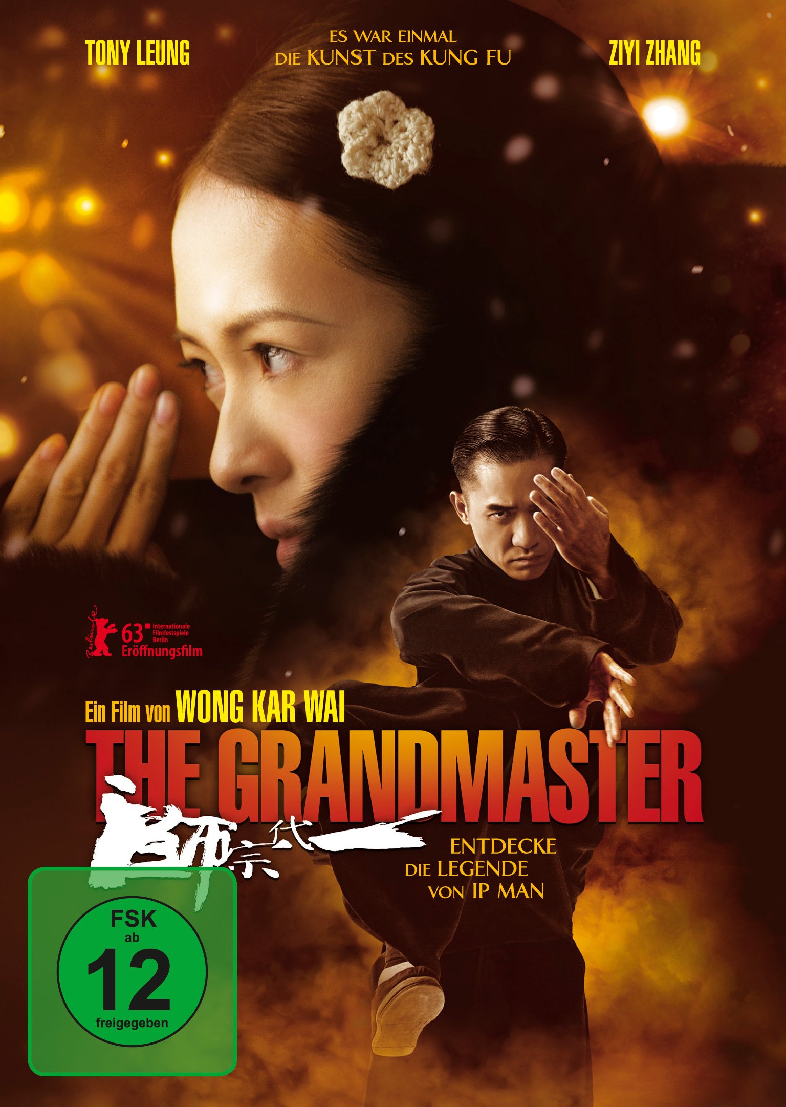 Amazon.com: THE GRANDMASTER - VARIOUS [DVD] [2013] : Movies & TV