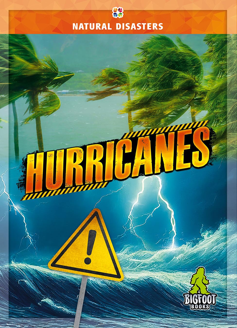 Hurricanes (Natural Disasters): Madeline Nixon: 9781645197423: Amazon ...