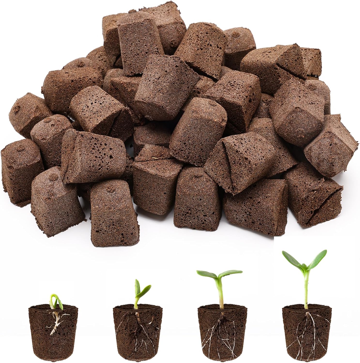 Amazon.com : Anglecai 50 Pcs Seed Starter Sponge, Rapid Rooter Plugs ...