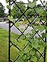 Amazon.com : Panacea 89655 Giant Trellis, Includes Wall-Mounting ...