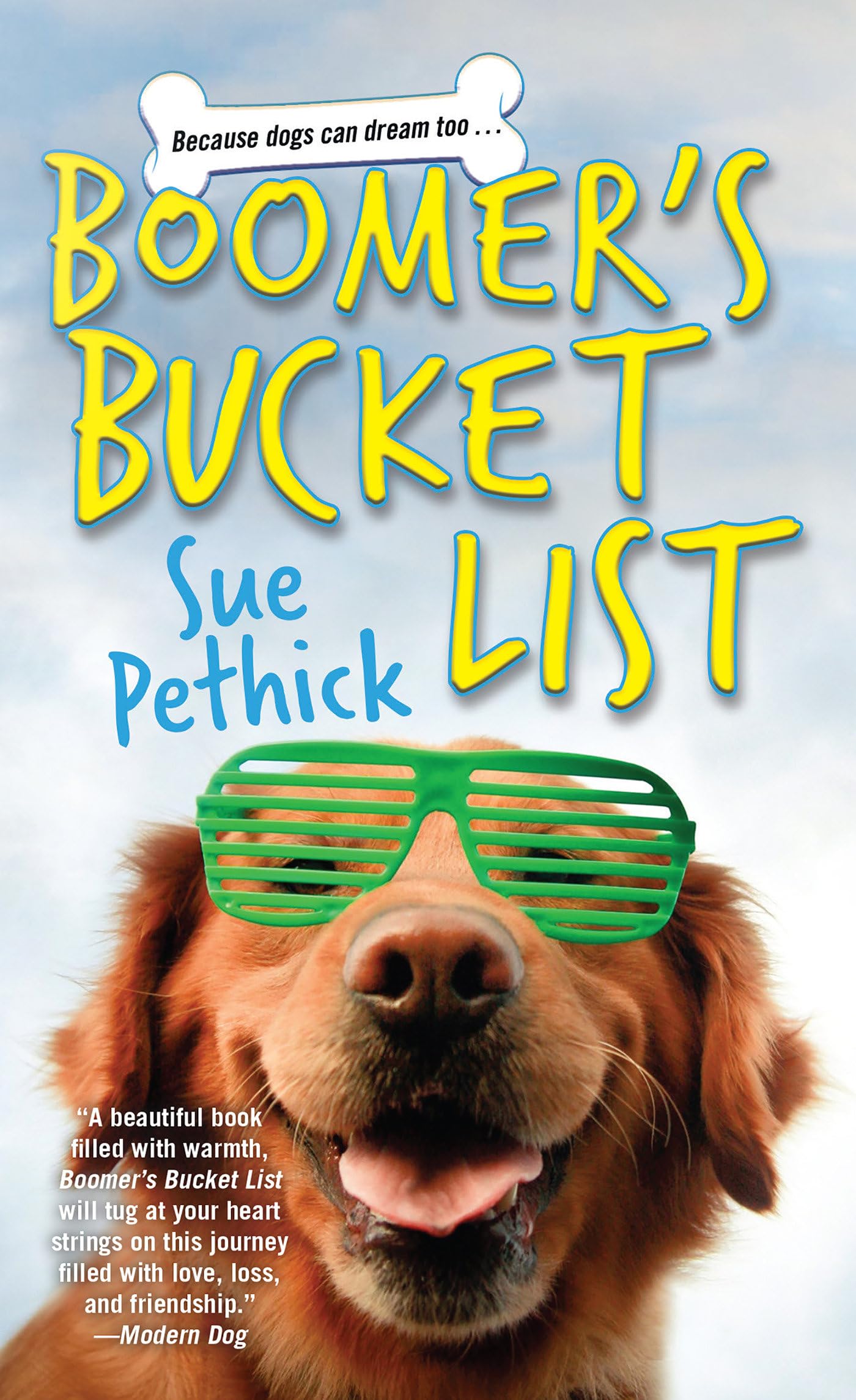 Boomer's Bucket List: Pethick, Sue: 9781420156027: Amazon.com: Books